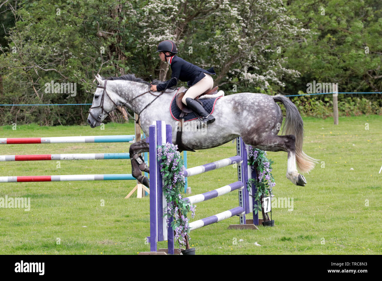 Pontargothi Show 2019 Stock Photo - Alamy