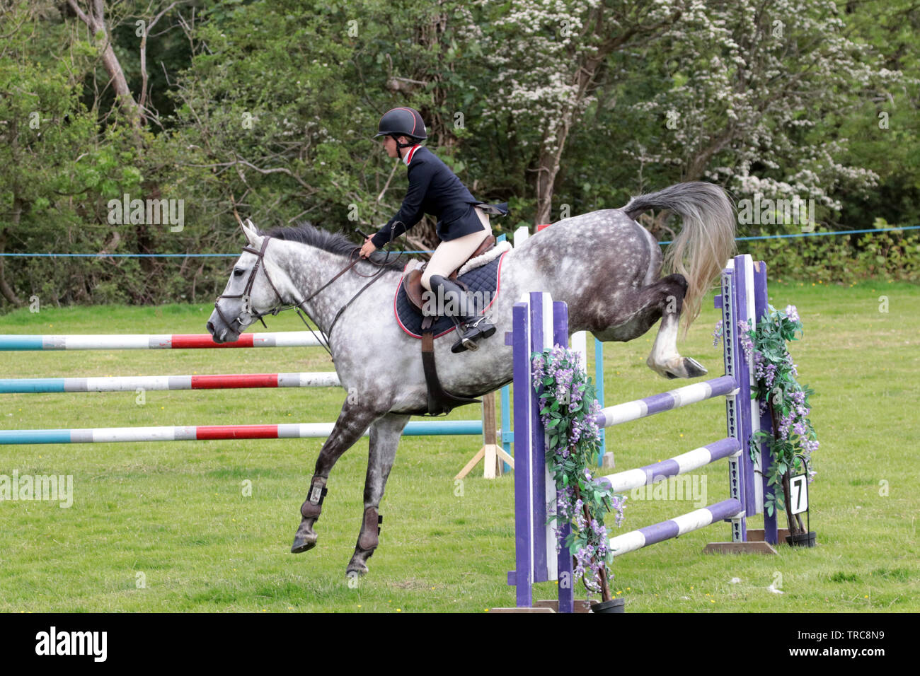 Pontargothi Show 2019 Stock Photo - Alamy