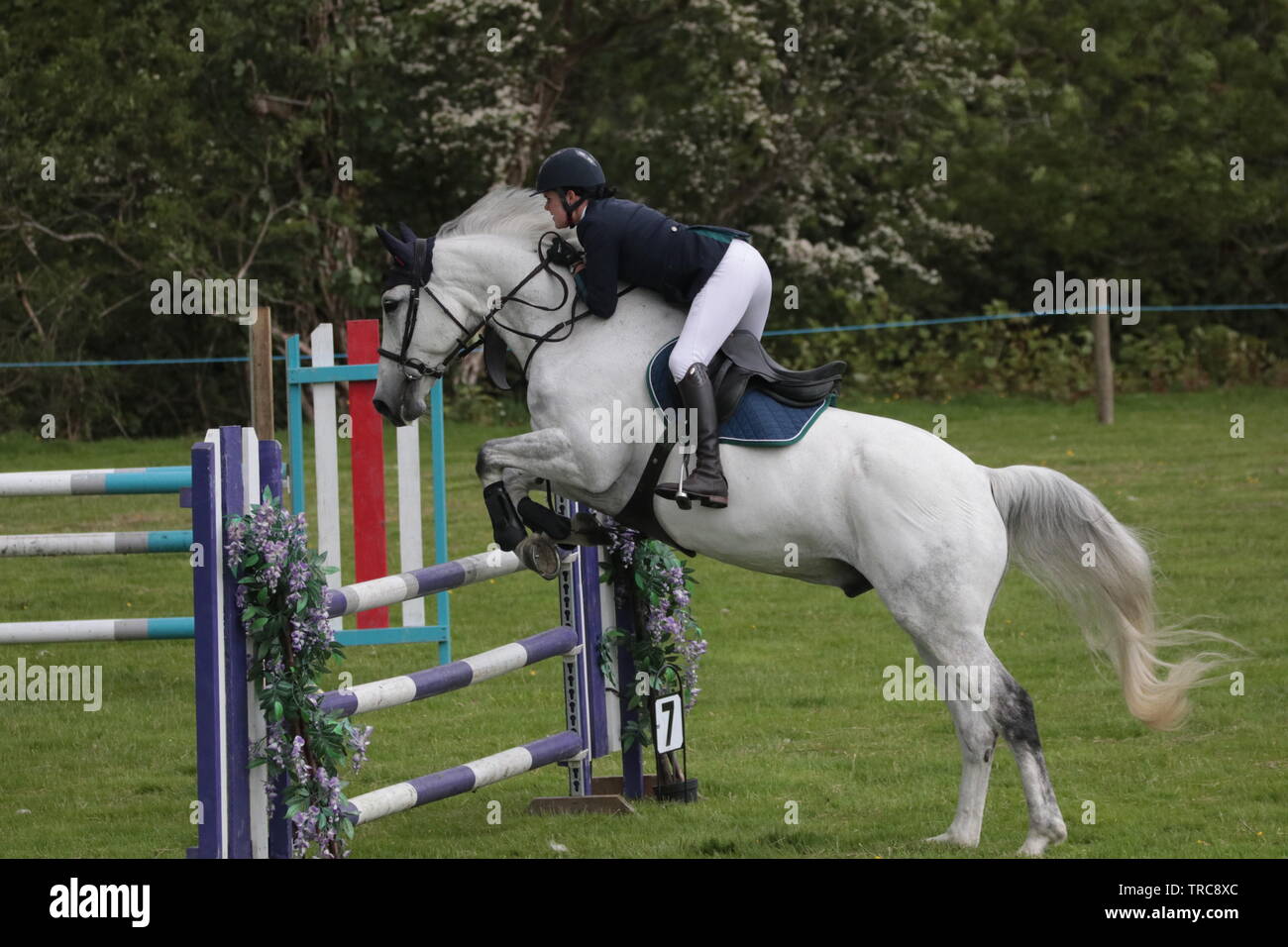 Pontargothi Show 2019 Stock Photo - Alamy