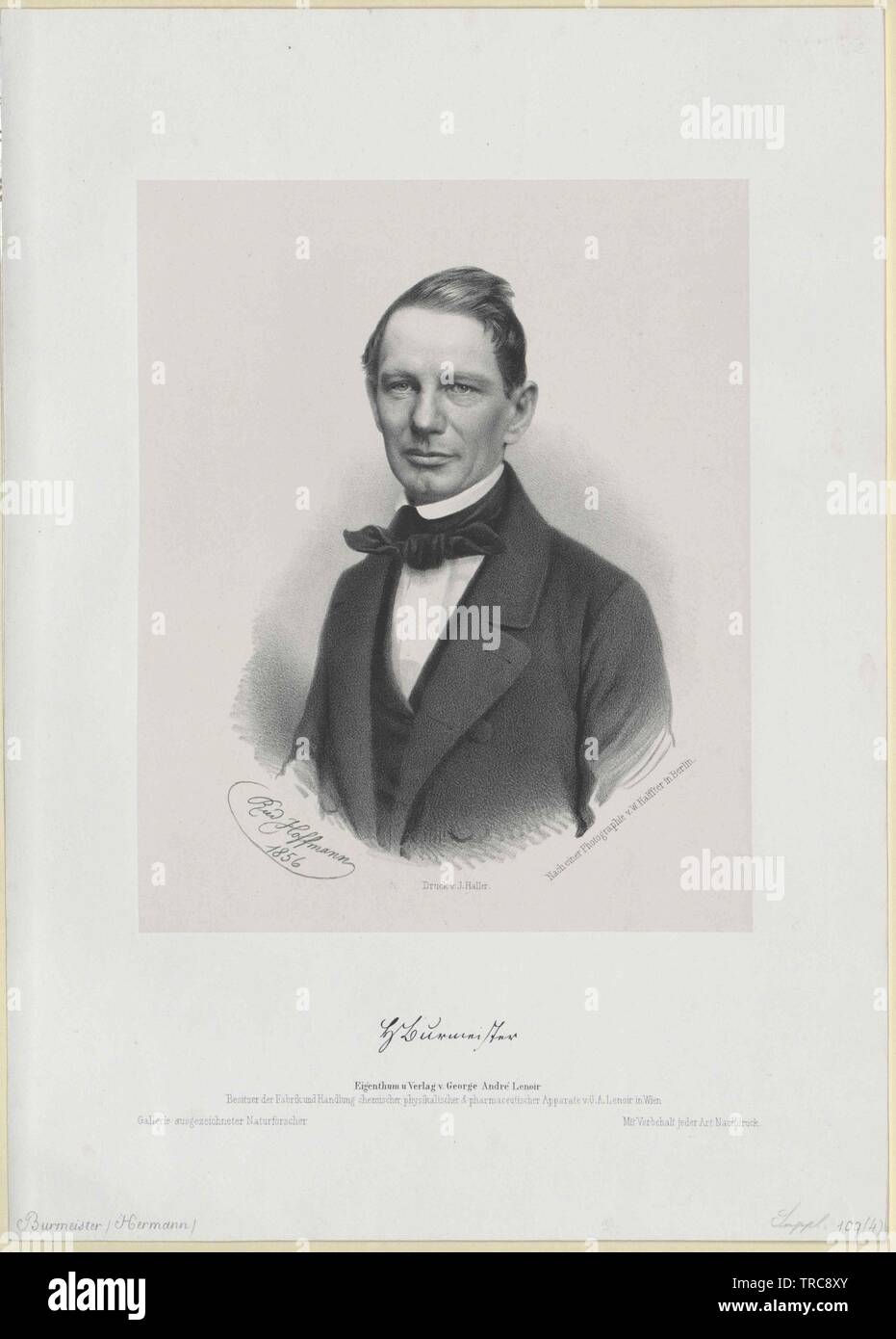 Hermann burmeister hi-res stock photography and images - Alamy