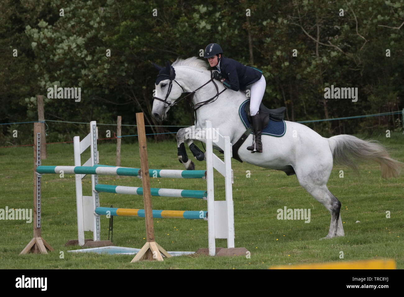 Pontargothi Show 2019 Stock Photo - Alamy