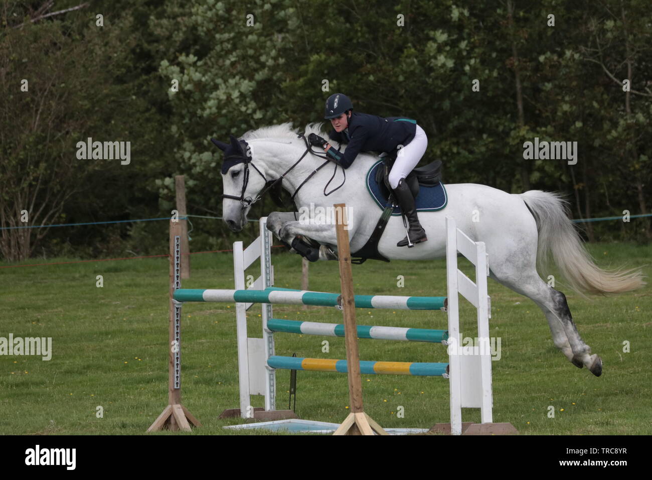 Pontargothi Show 2019 Stock Photo - Alamy