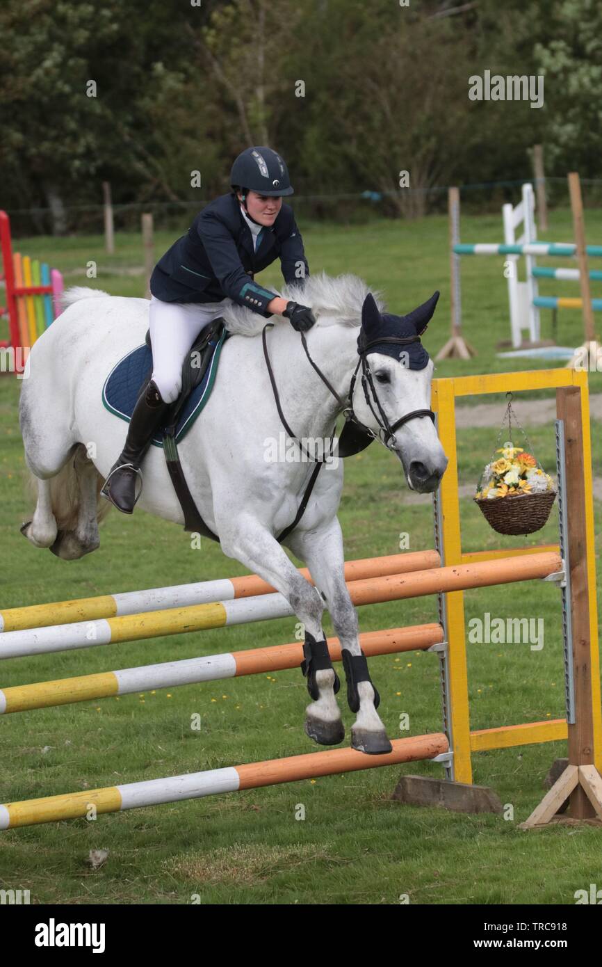 Pontargothi Show 2019 Stock Photo - Alamy