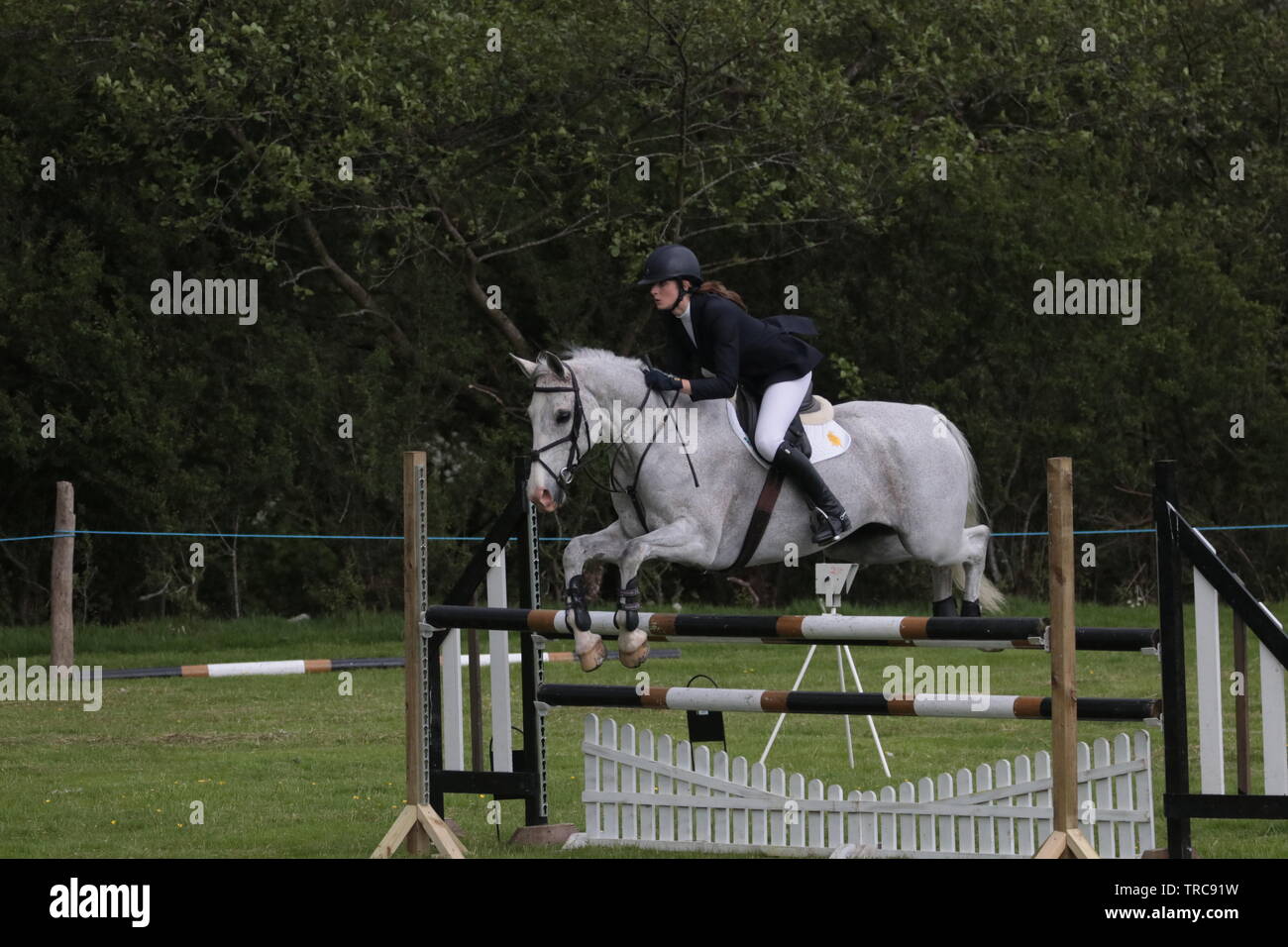 Pontargothi Show 2019 Stock Photo - Alamy
