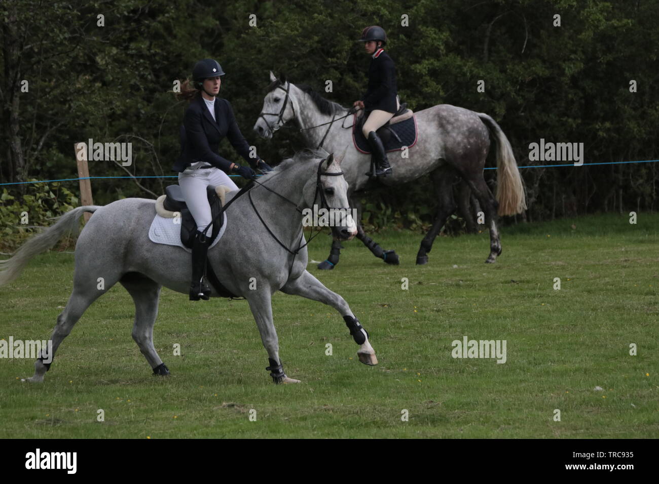 Pontargothi Show 2019 Stock Photo - Alamy