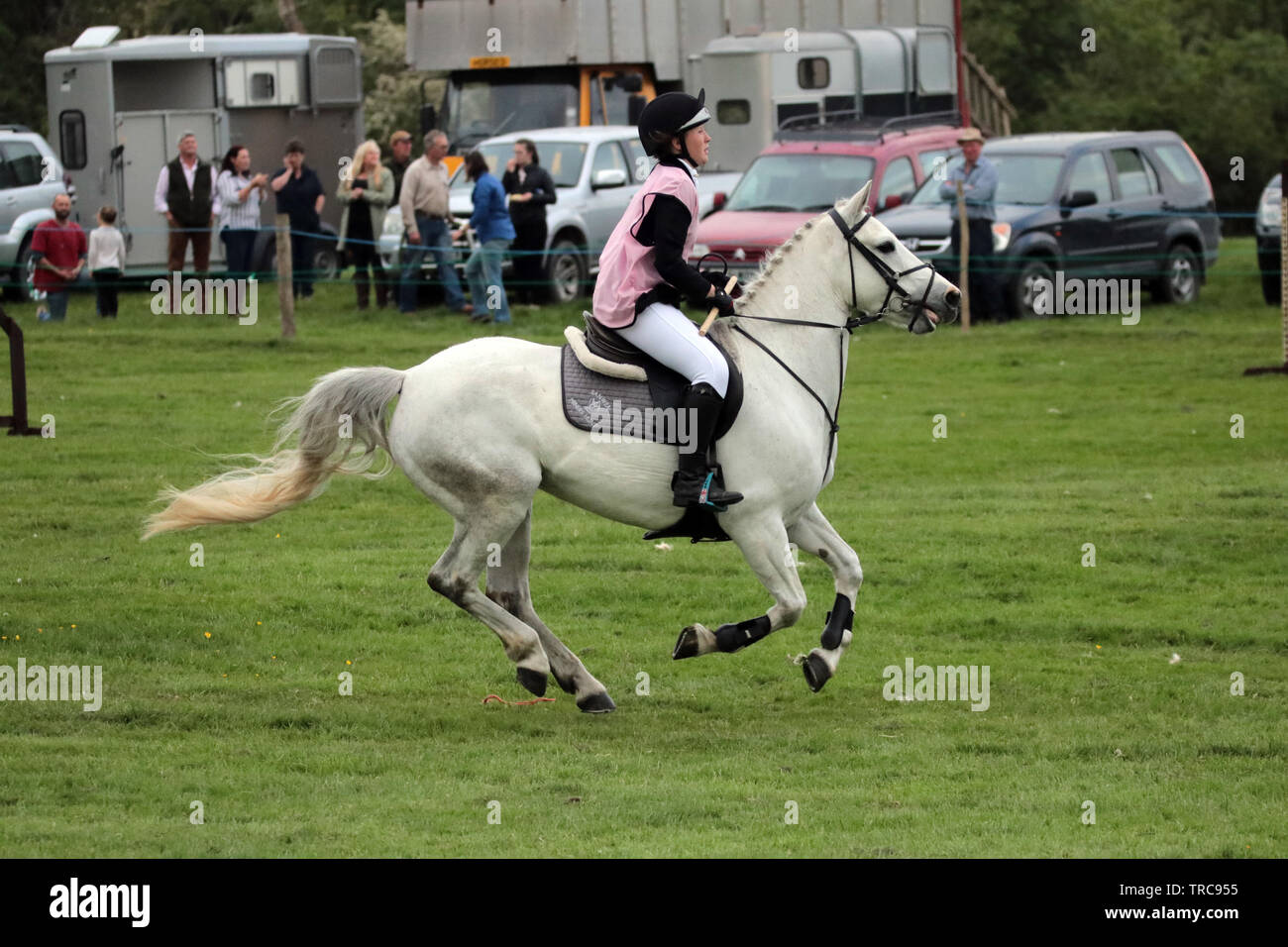 Pontargothi Show 2019 Stock Photo - Alamy