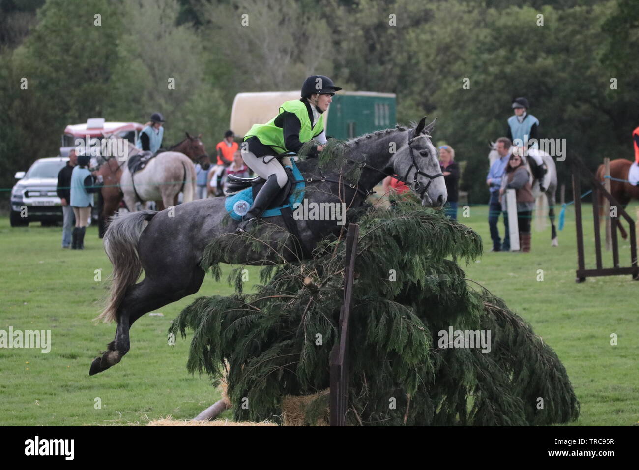 Pontargothi Show 2019 Stock Photo - Alamy