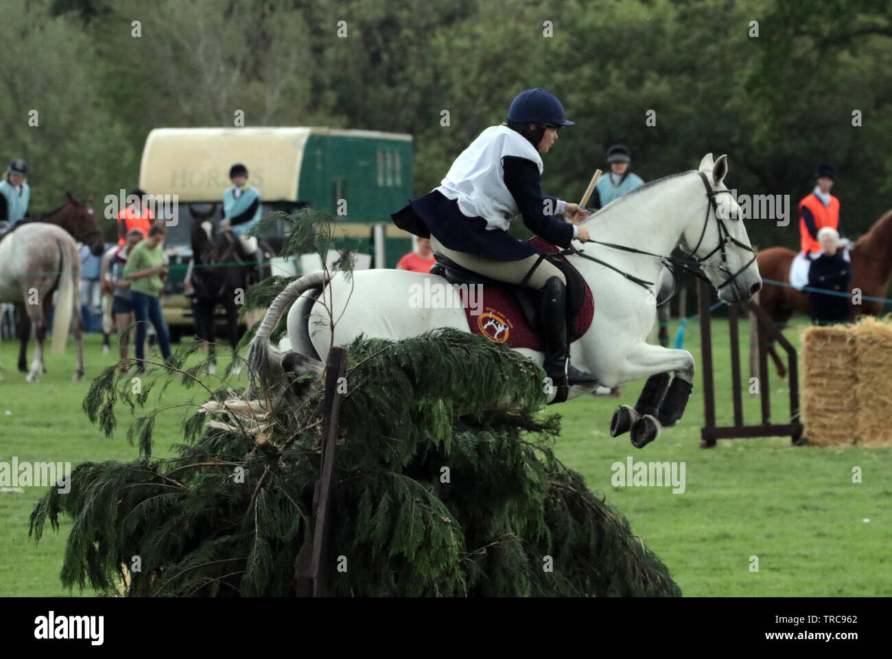 Pontargothi Show 2019 Stock Photo - Alamy