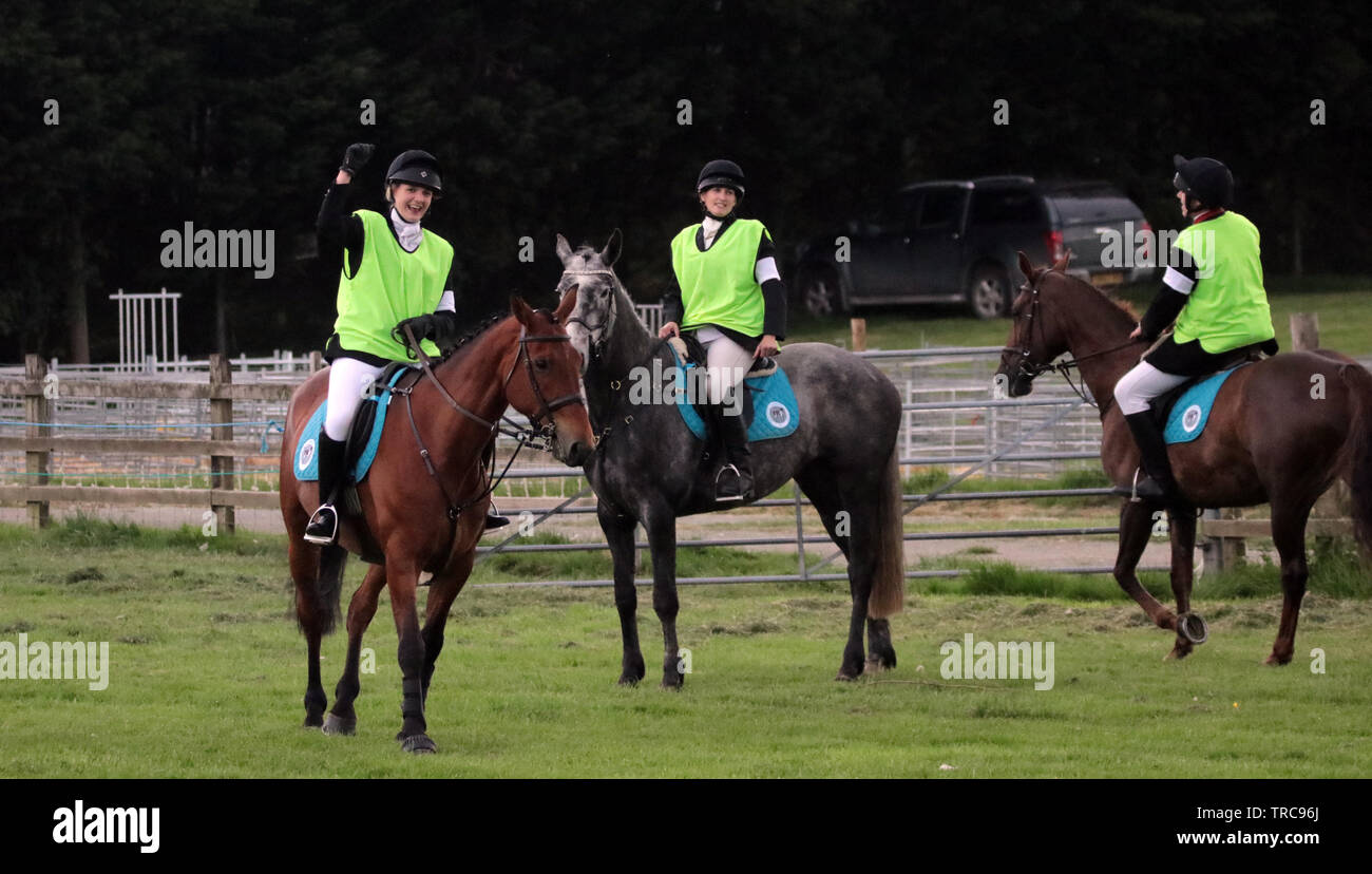Pontargothi Show 2019 Stock Photo - Alamy