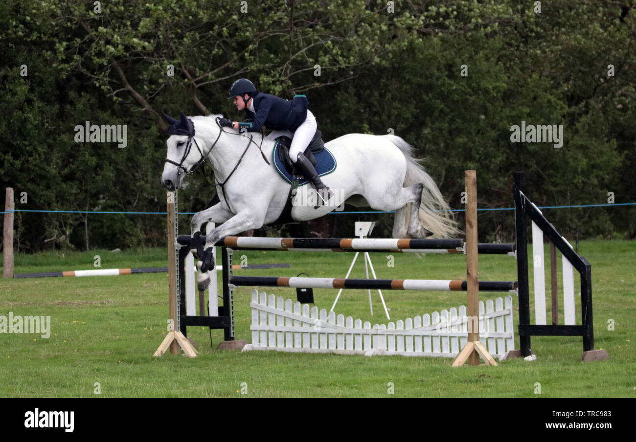 Pontargothi Show 2019 Stock Photo - Alamy