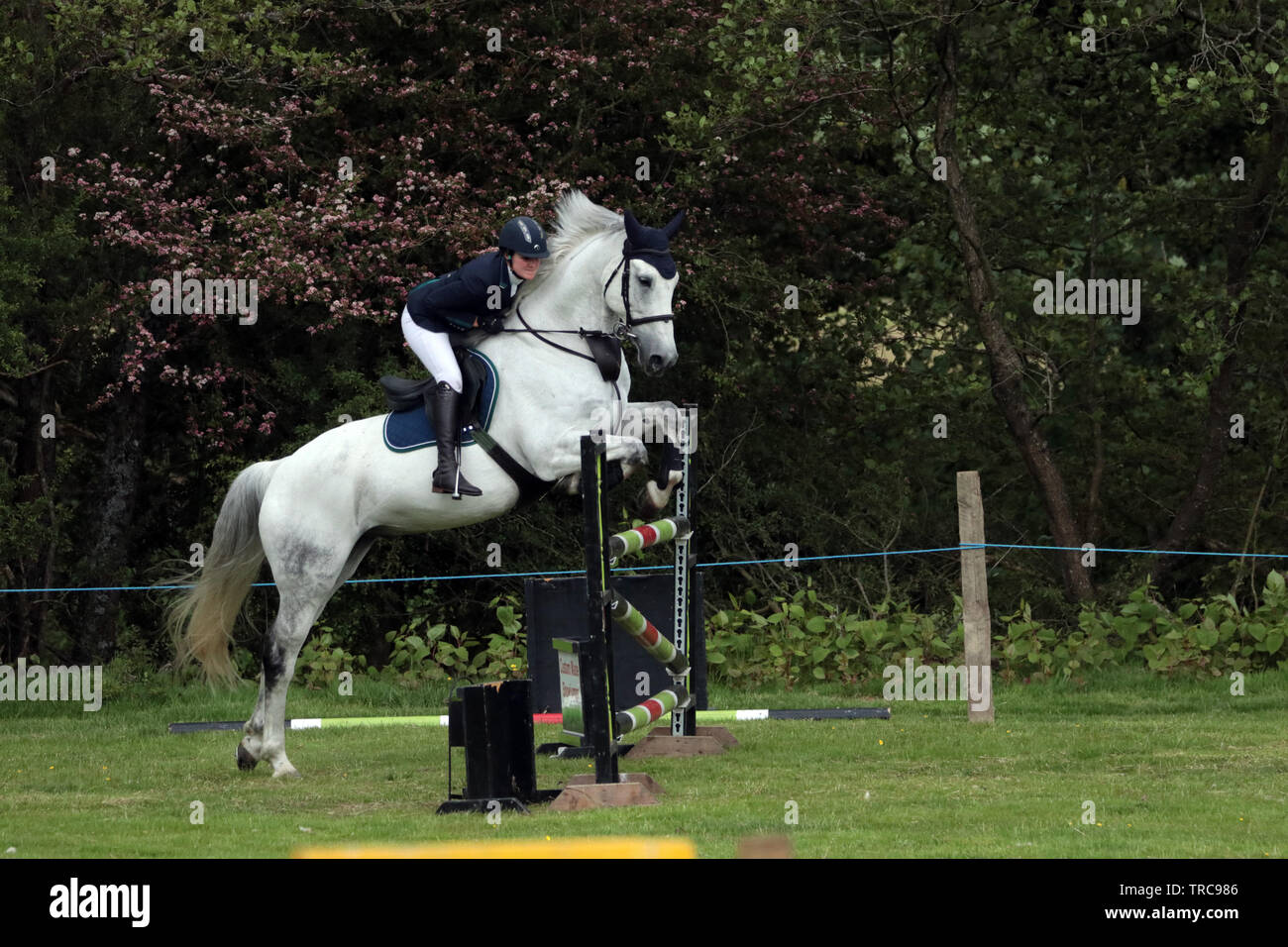 Pontargothi Show 2019 Stock Photo - Alamy