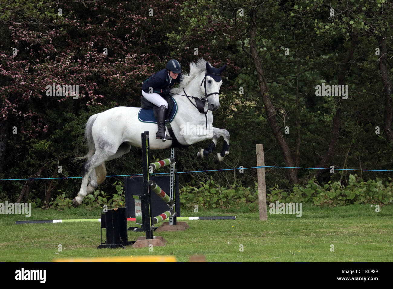 Pontargothi Show 2019 Stock Photo - Alamy