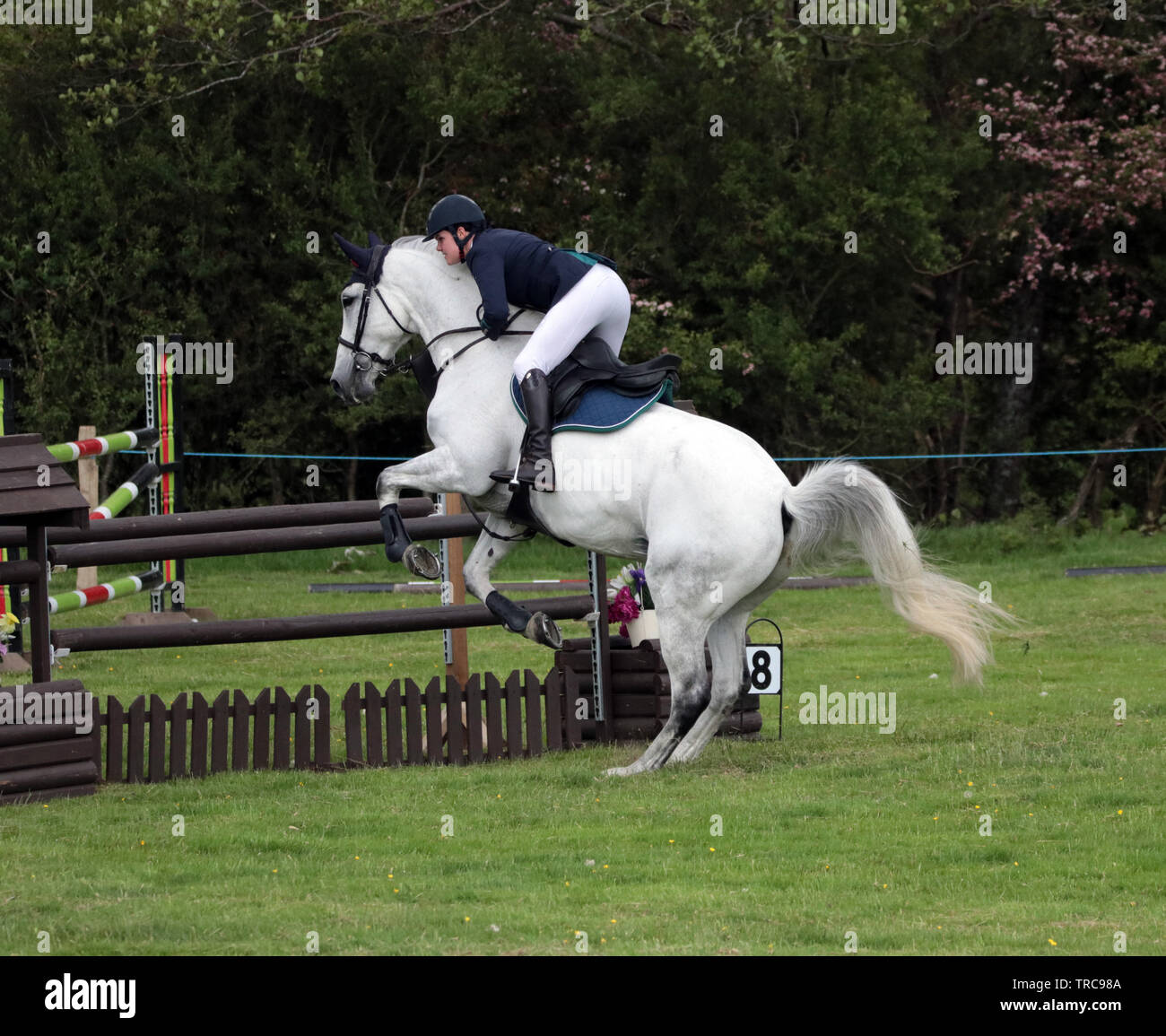 Pontargothi Show 2019 Stock Photo - Alamy
