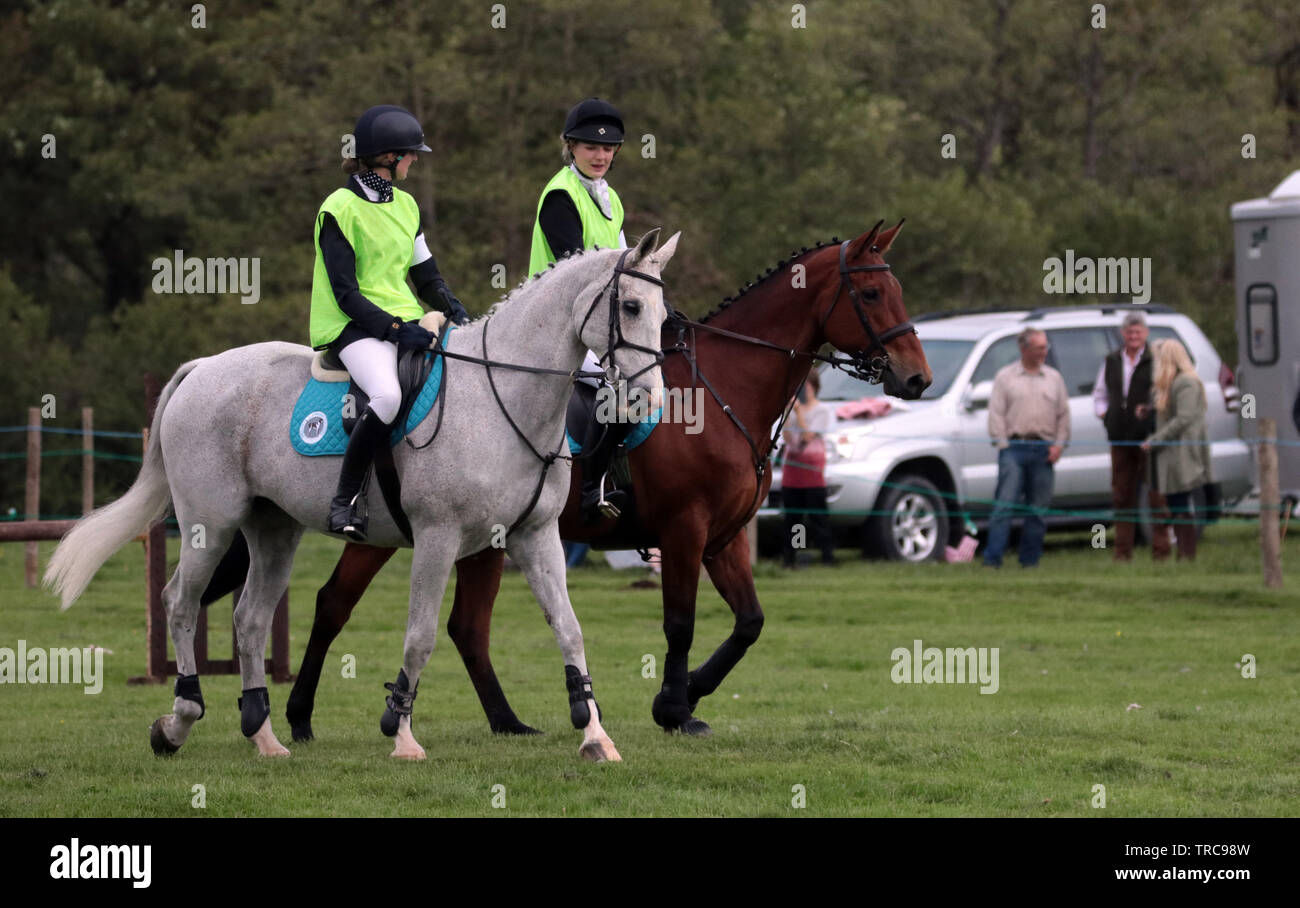 Pontargothi Show 2019 Stock Photo - Alamy