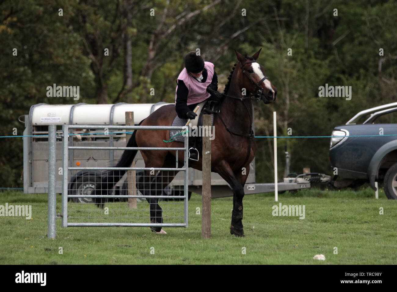 Pontargothi Show 2019 Stock Photo - Alamy