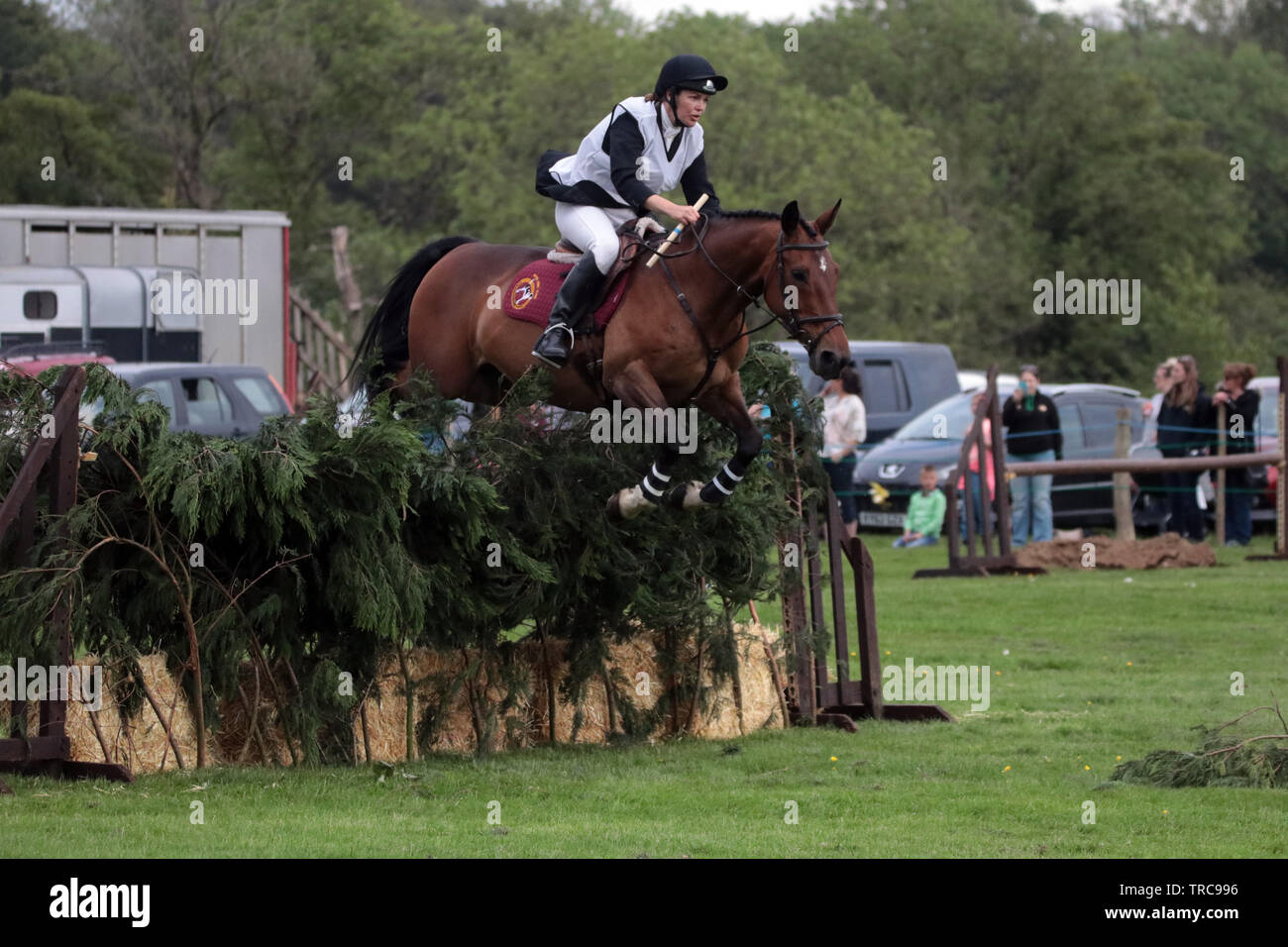 Pontargothi Show 2019 Stock Photo - Alamy