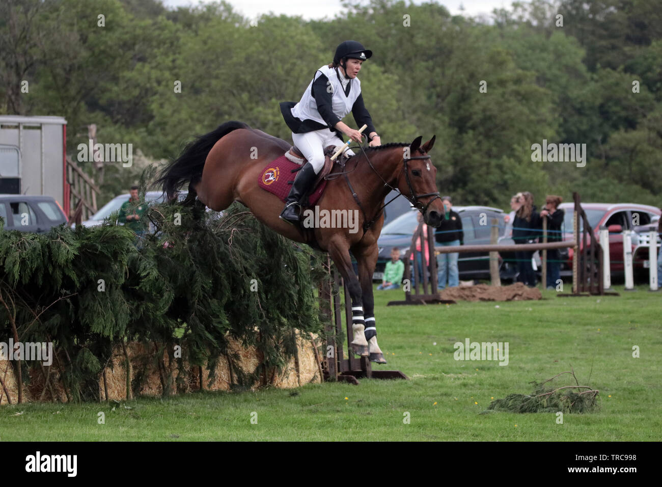 Pontargothi Show 2019 Stock Photo - Alamy