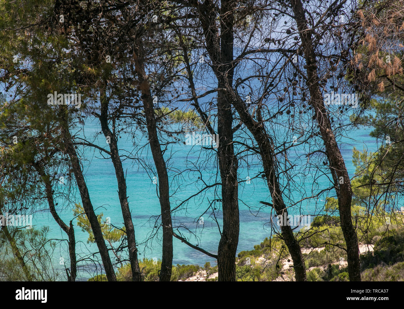 Sea trough hi-res stock photography and images - Alamy