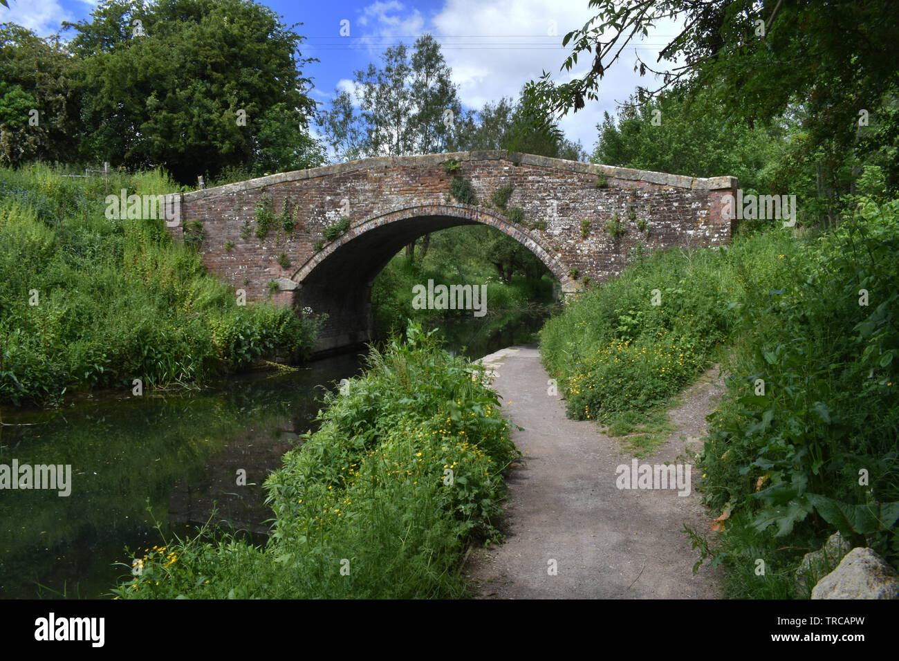 A restored section of the Thames and Severn Canal near Bowbridge ...