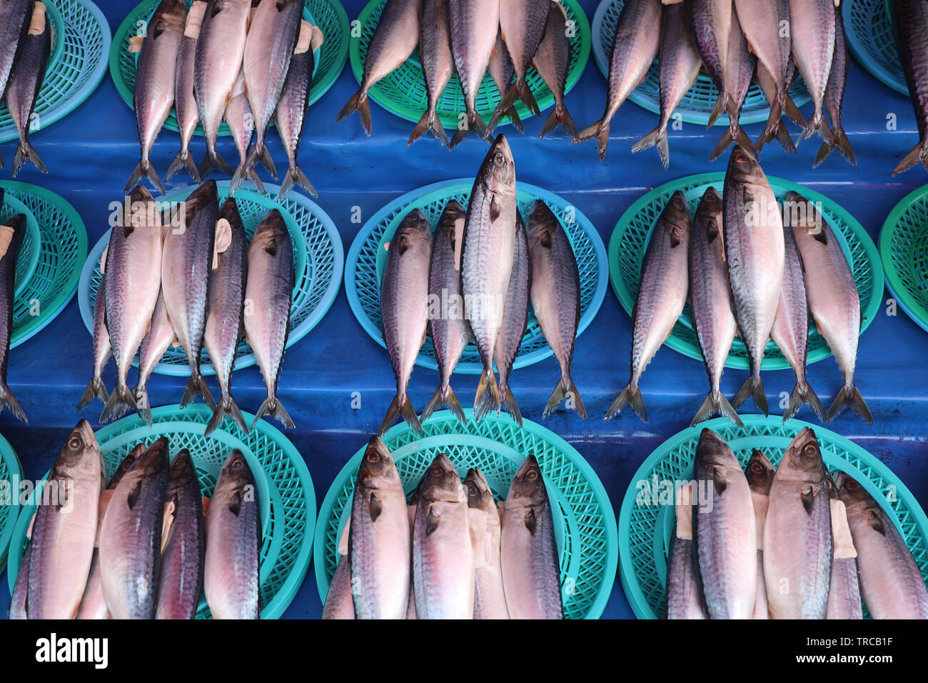 Fresh fish on Jagalchi Market, Busan, South Korea Stock Photo - Alamy