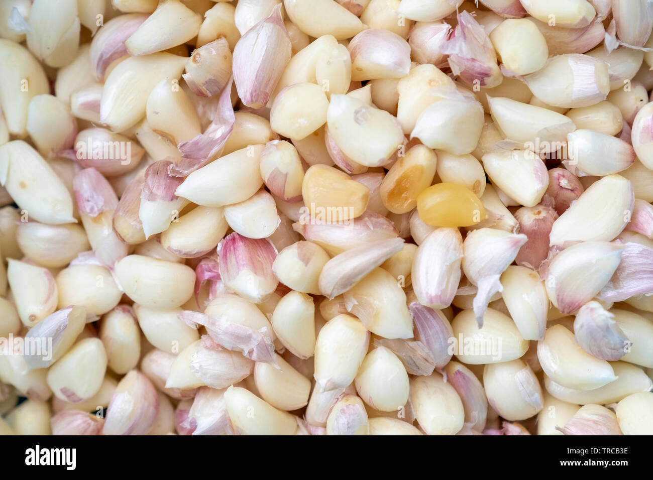 Close-up fresh raw Garlic (Allium sativum Linn) pile texture background ...