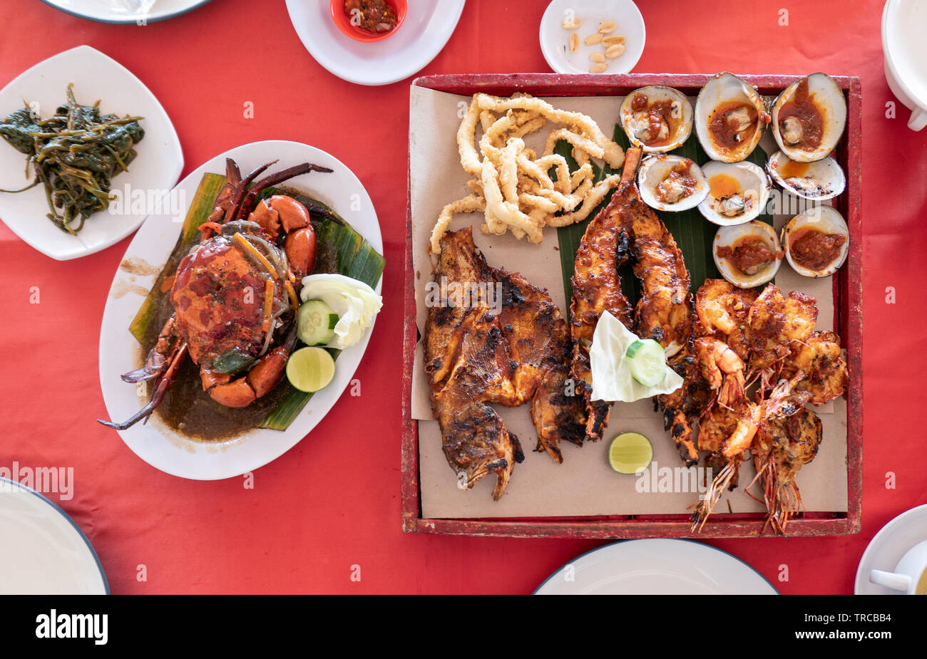 Seafood set with lobster, crab, fish, shrimp, shellfish on wooden tray ...