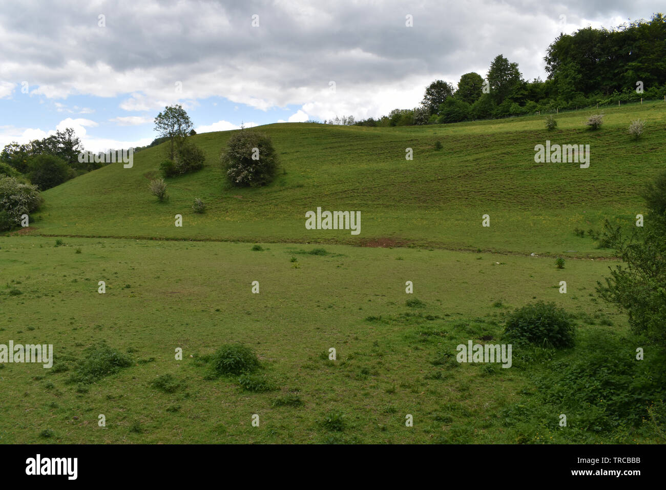 River Frome Valley near Chalford, Gloucestershire Stock Photo - Alamy