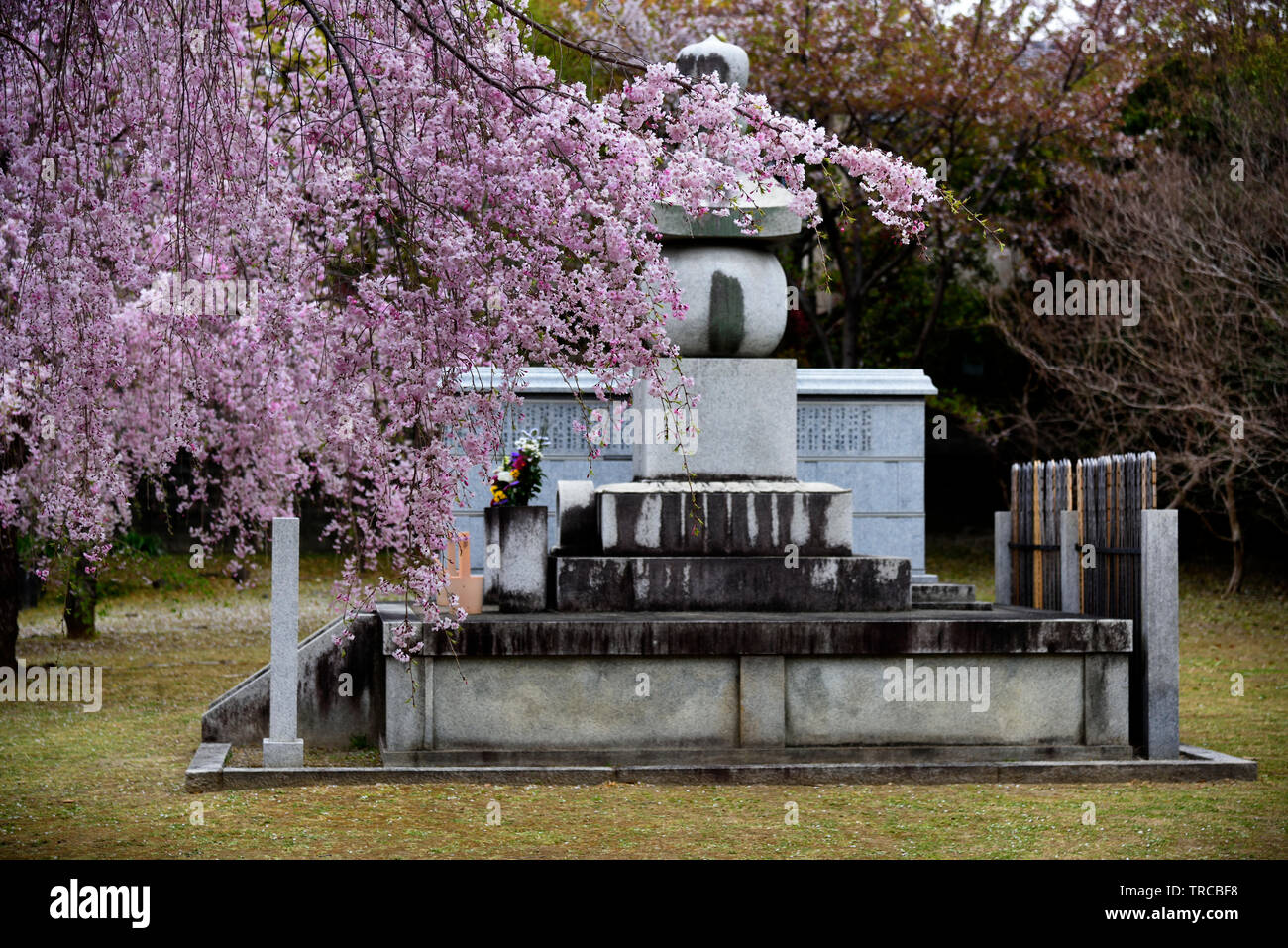 Temples in japan hi-res stock photography and images - Alamy