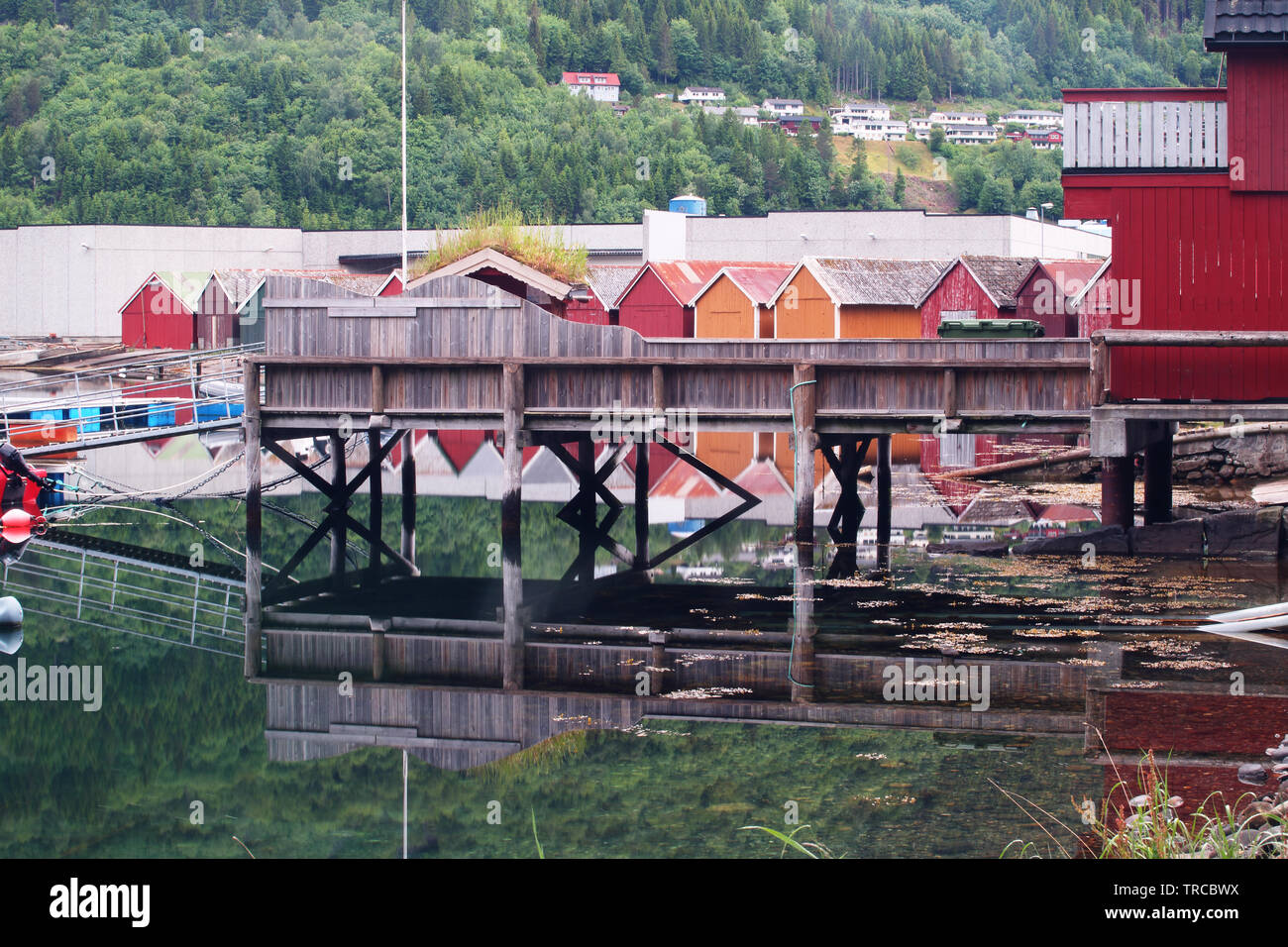 Traditional colorful boat barn buildings at wooden pier in Norway Stock ...