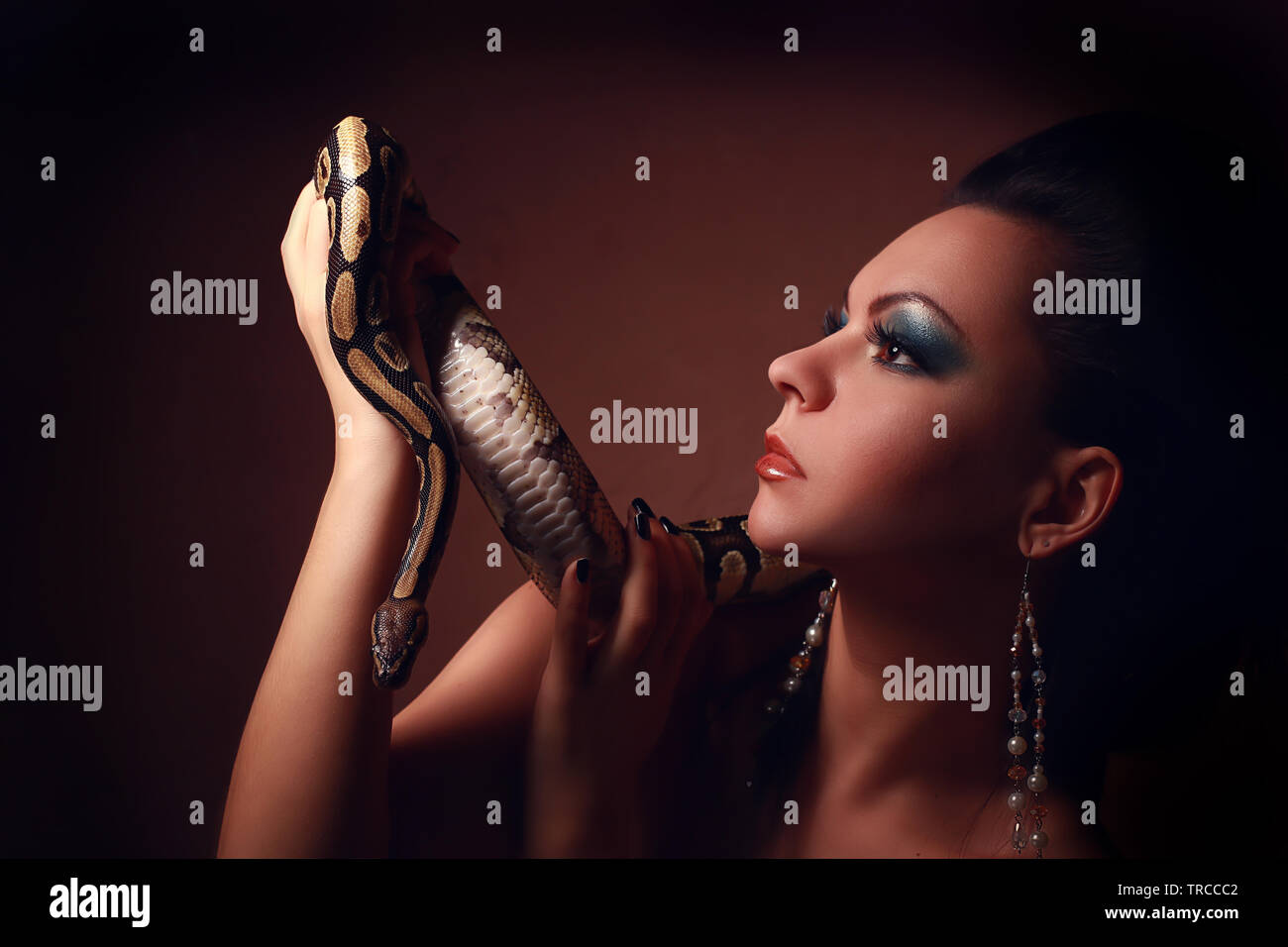 Portrait of Beautiful Woman in studio with dangerous snake Stock Photo ...