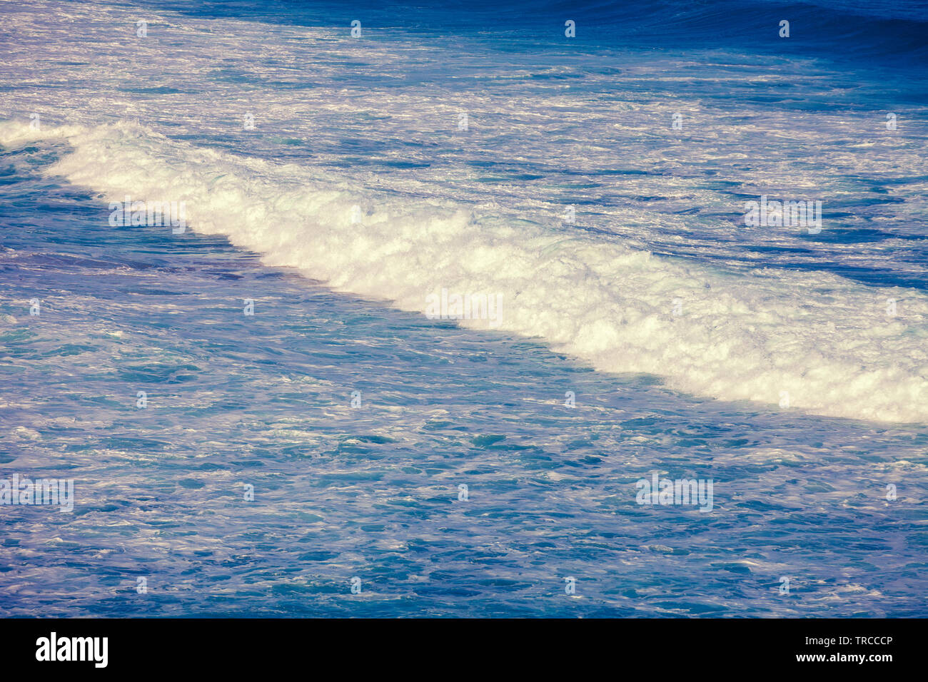 Sea wave foam on the beach, sea surf, waves, seashore Stock Photo - Alamy