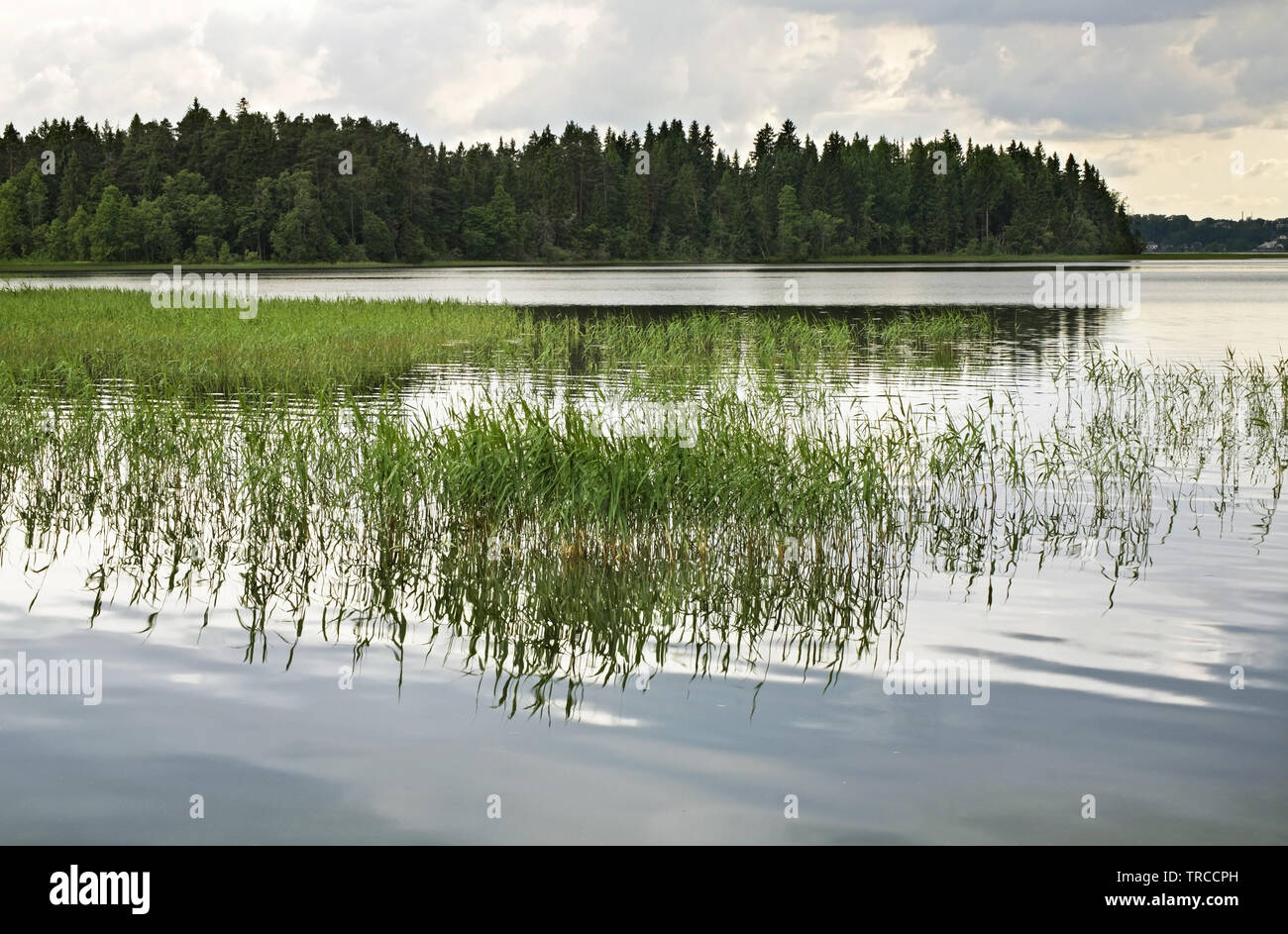 Lake valdayskoye hi-res stock photography and images - Alamy