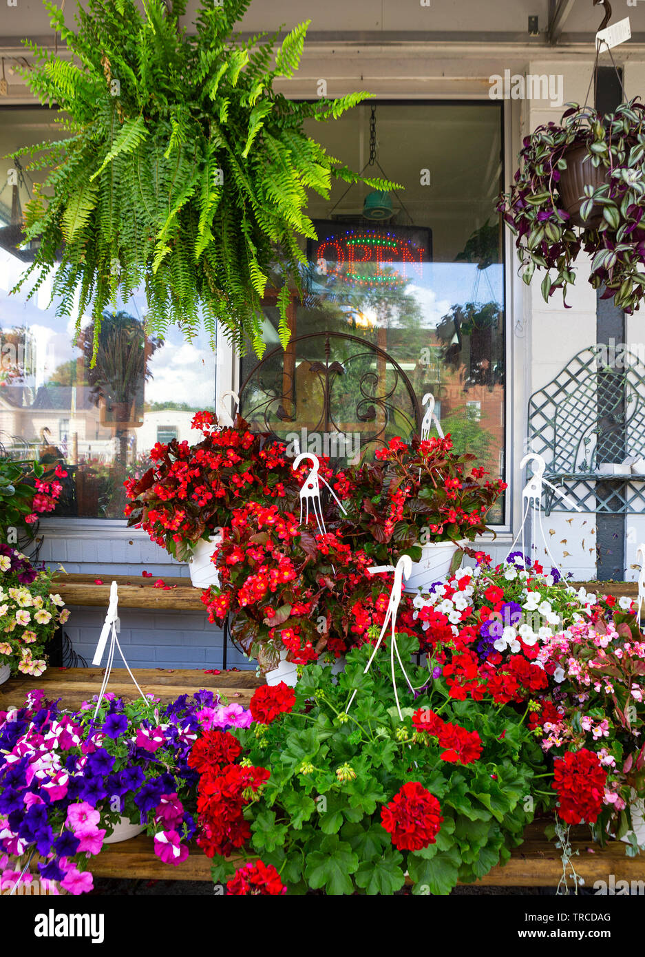 Hanging plants hi-res stock photography and images - Alamy