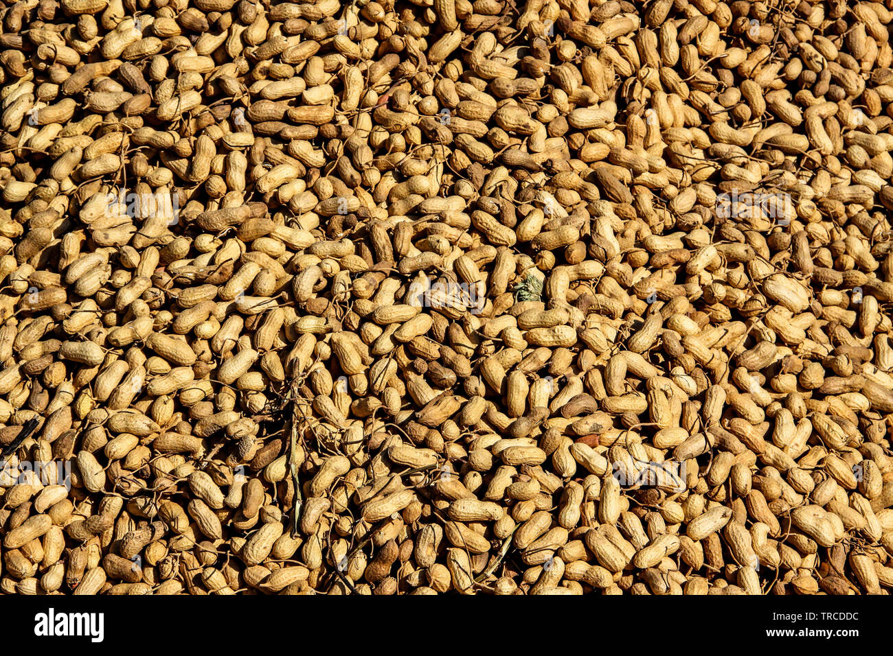 Ground nuts peanuts hi-res stock photography and images - Alamy