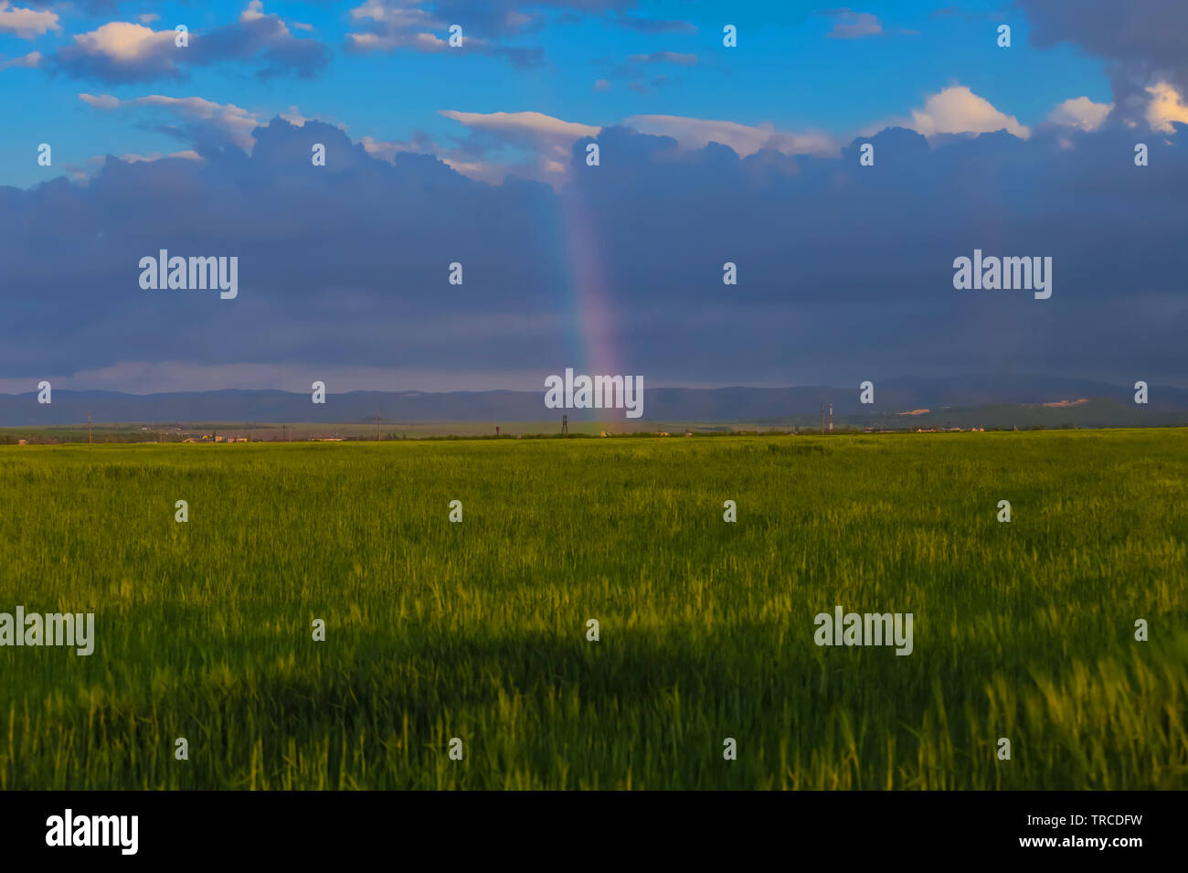 Rainbow over field Stock Photo - Alamy