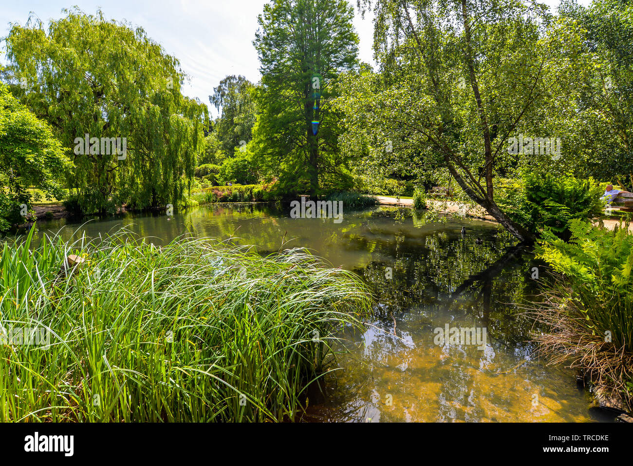 Colorful Park in London - UK Stock Photo - Alamy