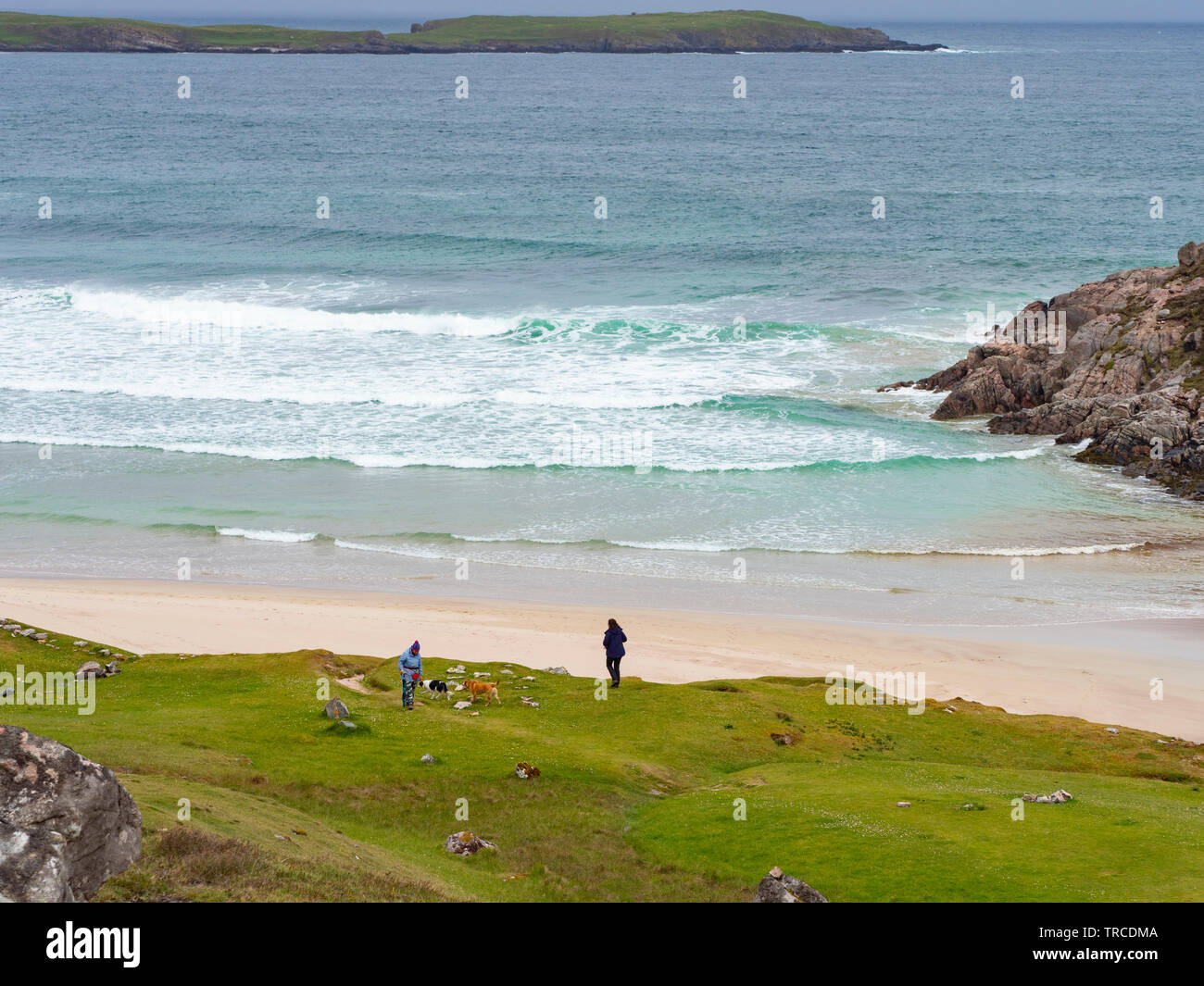 Person walking Dogs at the beach, Durness, Scotland, UK Stock Photo - Alamy