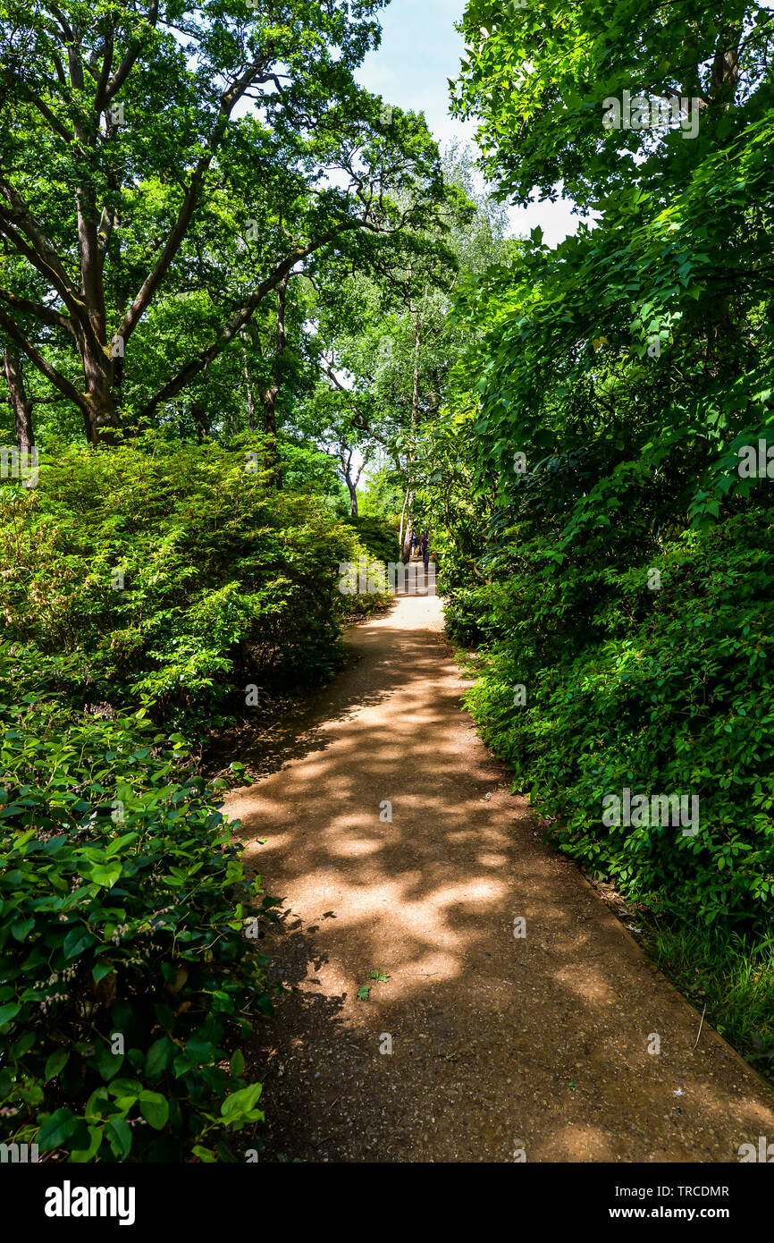 Colorful Park in London - UK Stock Photo - Alamy