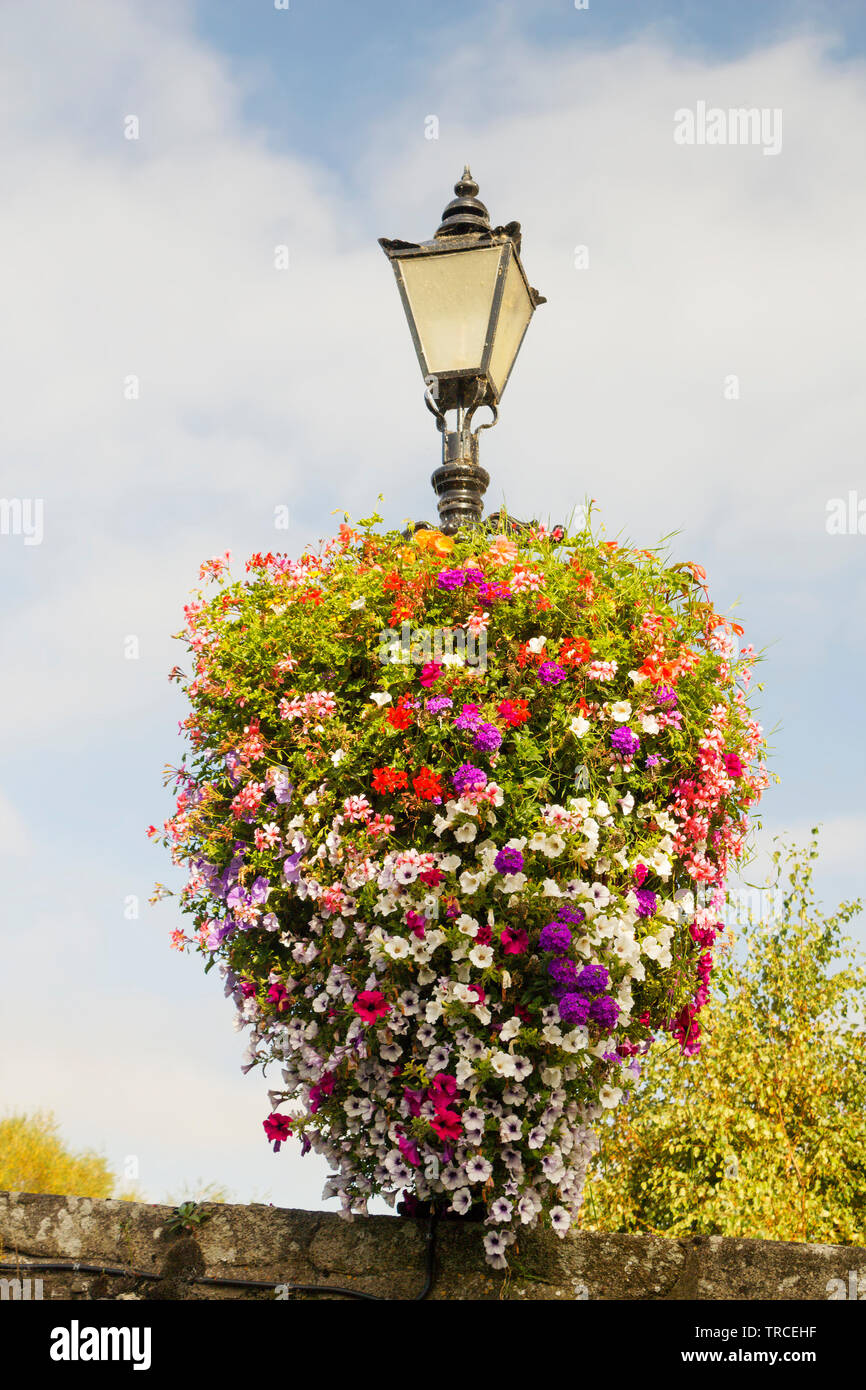 Image of a summer blooming flower garland surrounding a lamp post Stock ...