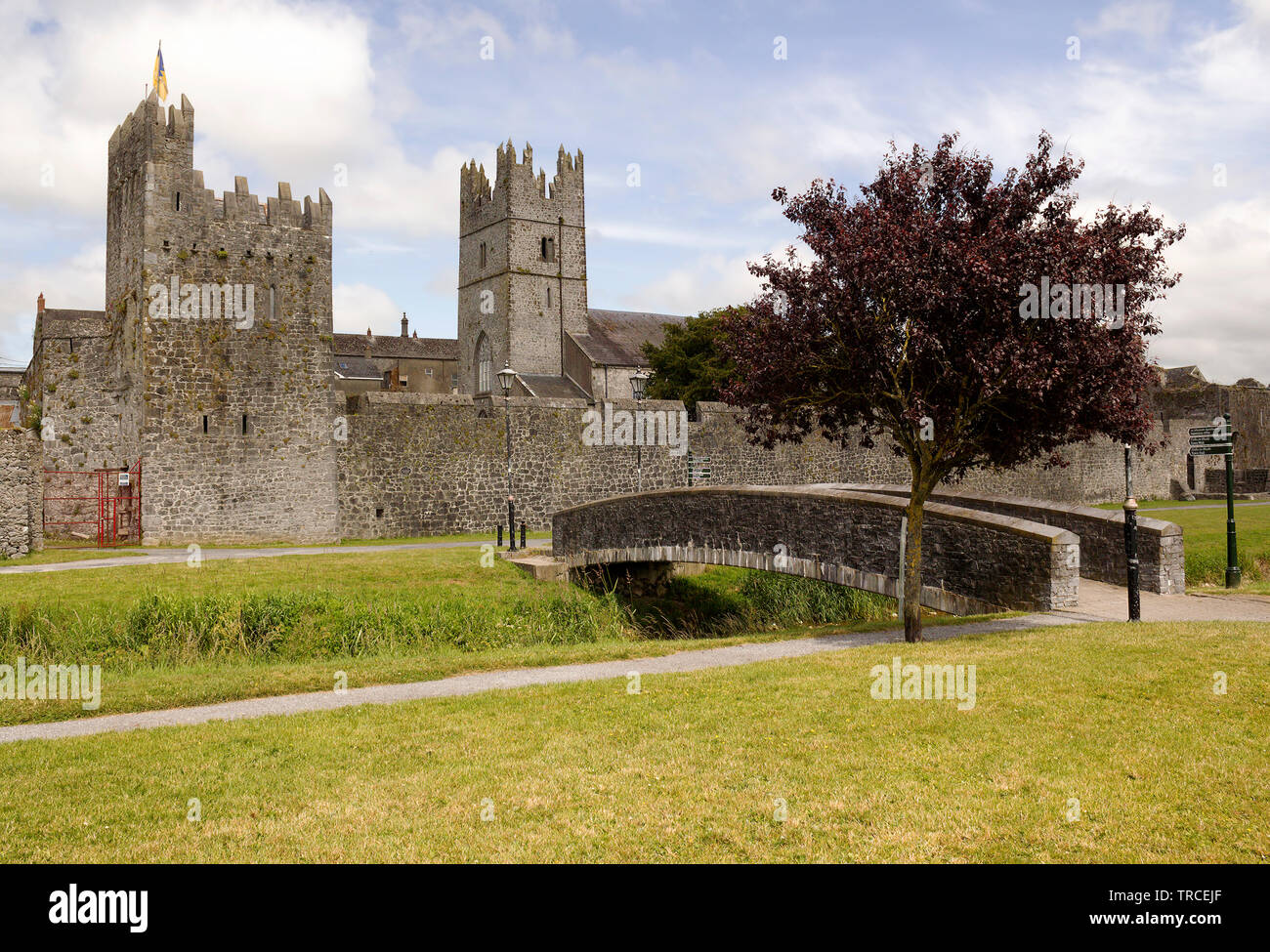 Image of medieval fortifications of the town of Fethard in County ...