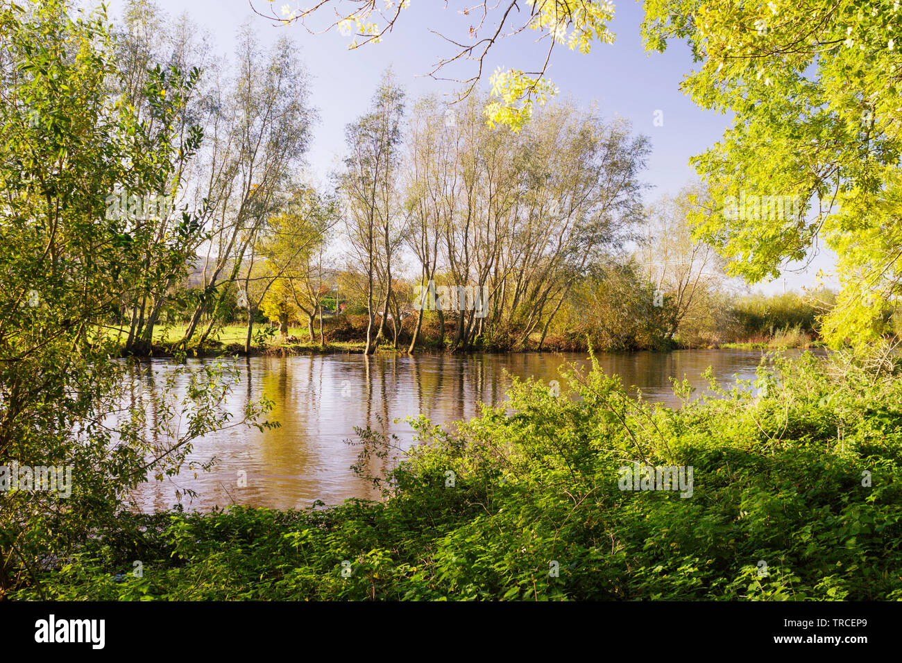 Tikincor hi-res stock photography and images - Alamy