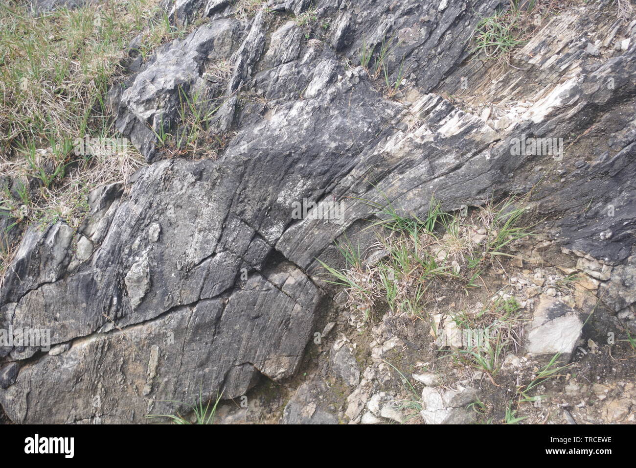 Structural fold in Middle Jurassic Lias Limestone Outcrop. Loch Slapin ...