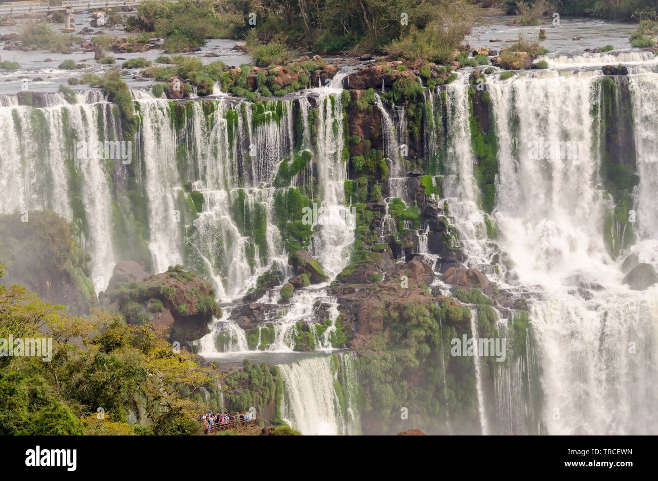overview of landscape to iguacu waterfalls in Brazil Stock Photo - Alamy