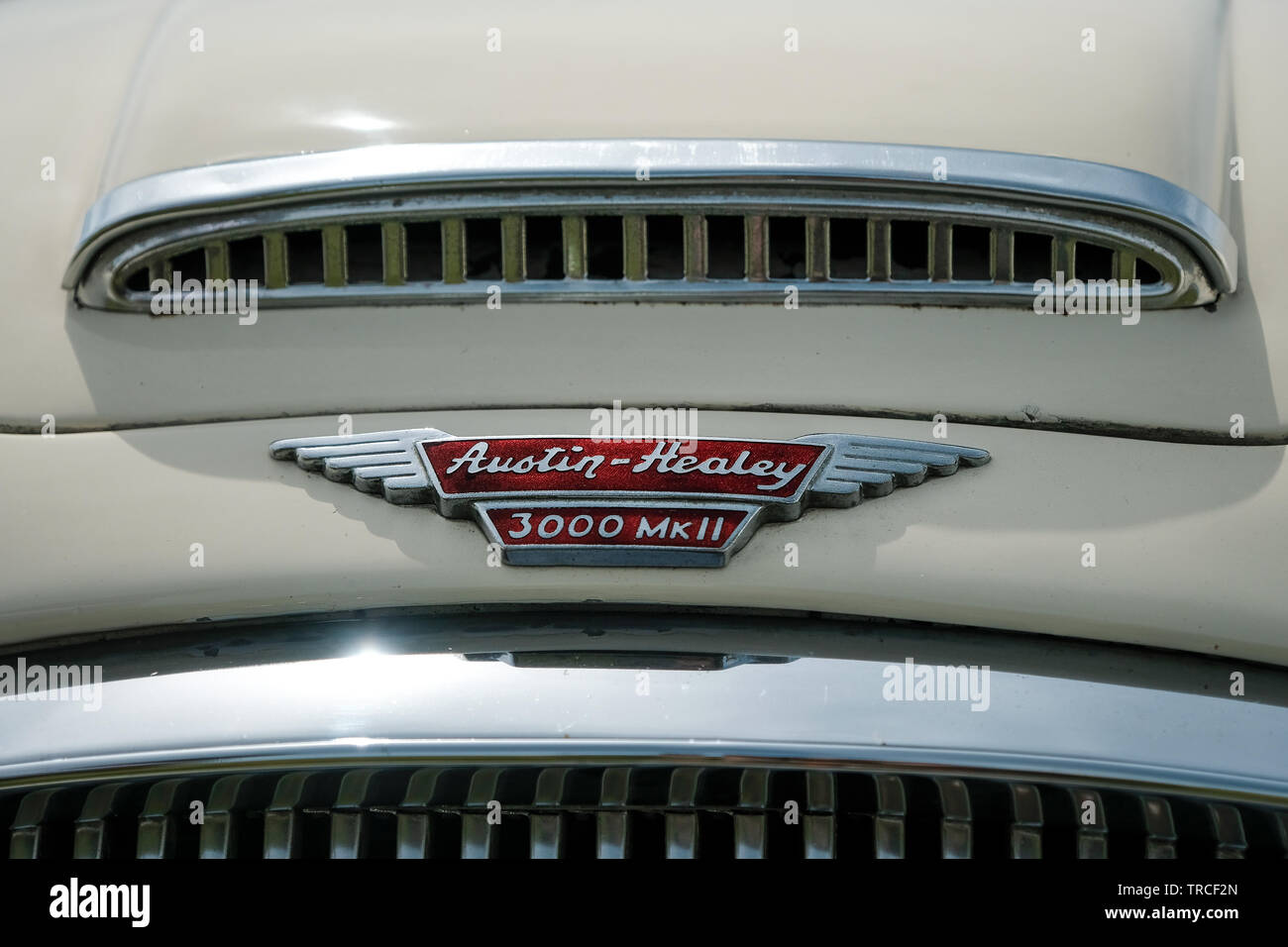 Healey car logo hi-res stock photography and images - Alamy