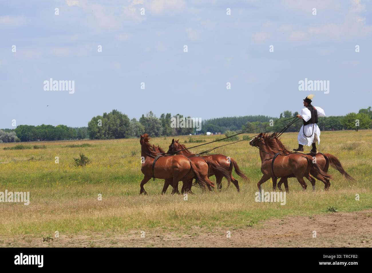 Hungary puszta bugac hi-res stock photography and images - Alamy