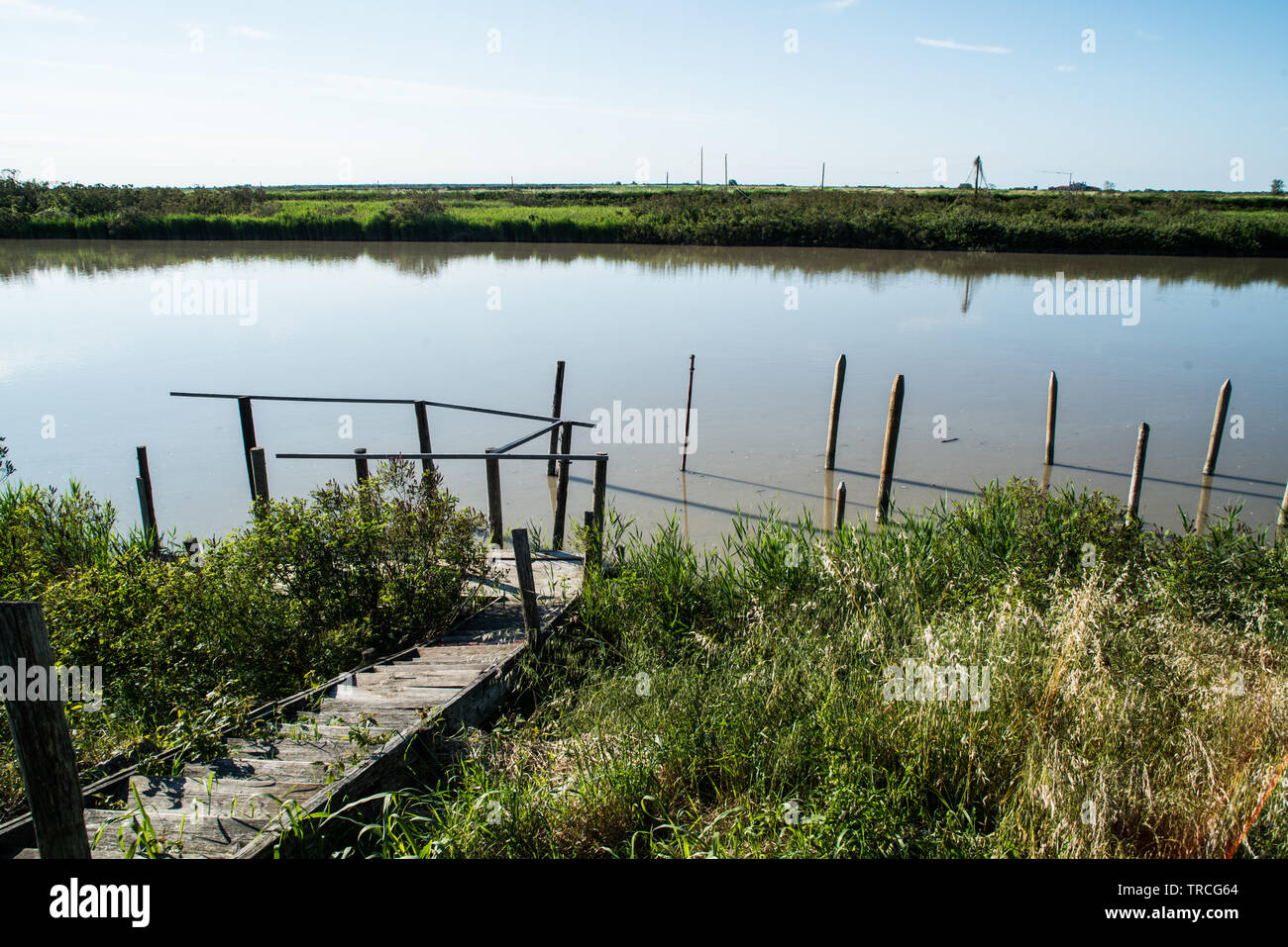 Birdwatching po delta park hi-res stock photography and images - Alamy