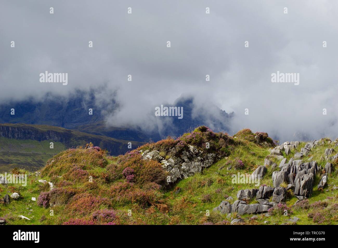 Heather Covered Limestone Outcrop Mirroring the Shape of Autumn Storm ...