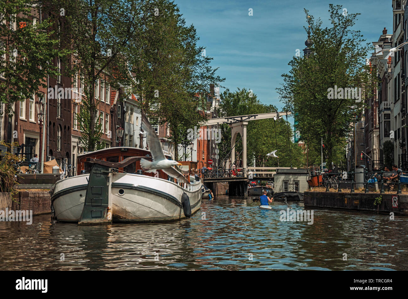 Kayak paddler on tree-lined canal with boat, buildings and blue sky in ...