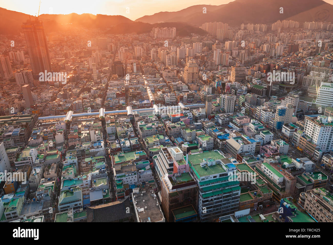 Busan, South Korea - March 14, 2018: Busan city landscape with back lit ...