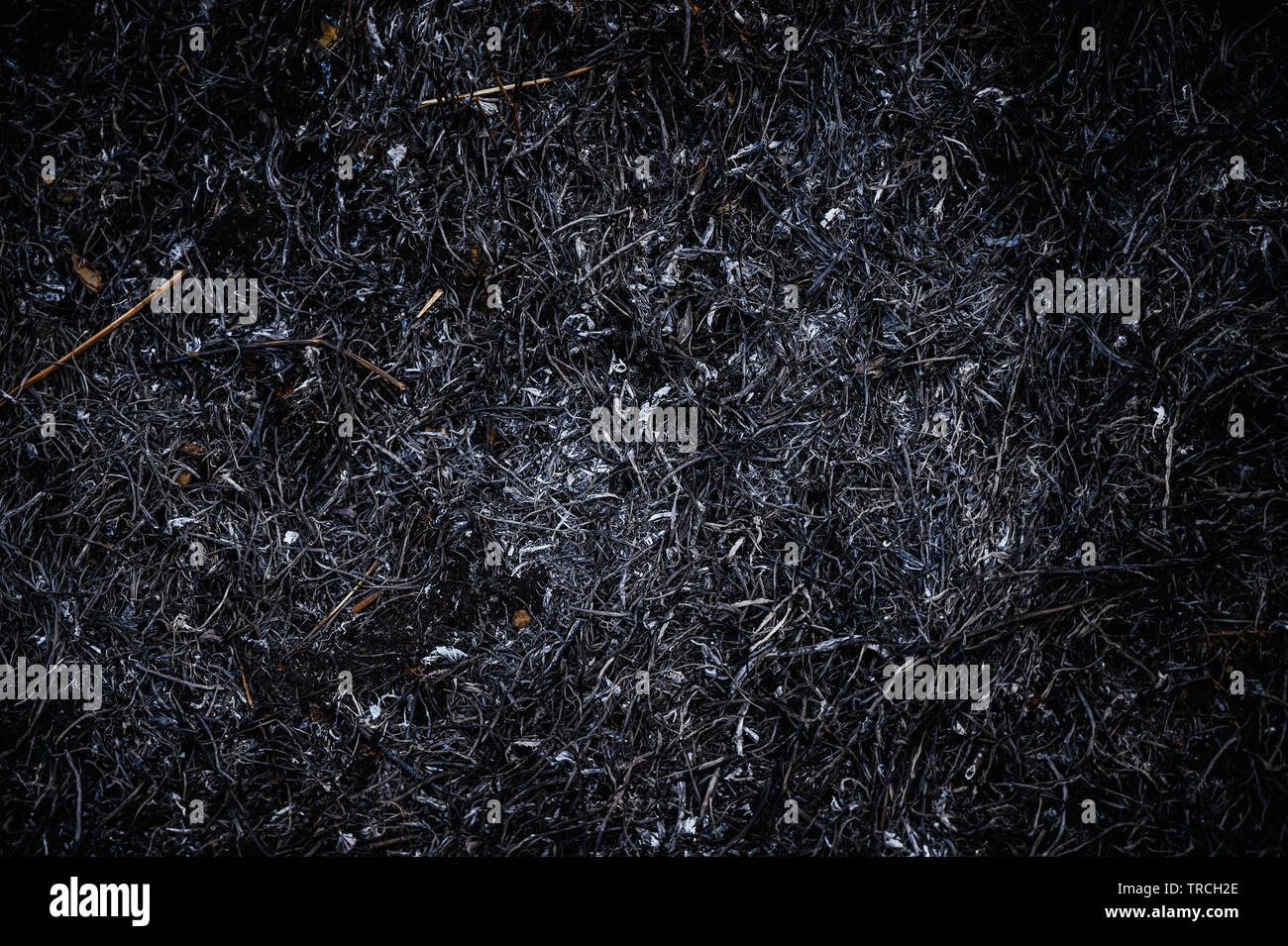 Burnt grass texture burn straw hi-res stock photography and images - Alamy